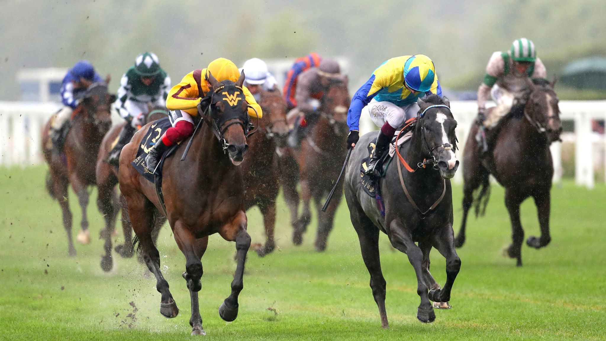 Qipco Champions Day: Dragon Symbol set to take in Champions Sprint ...