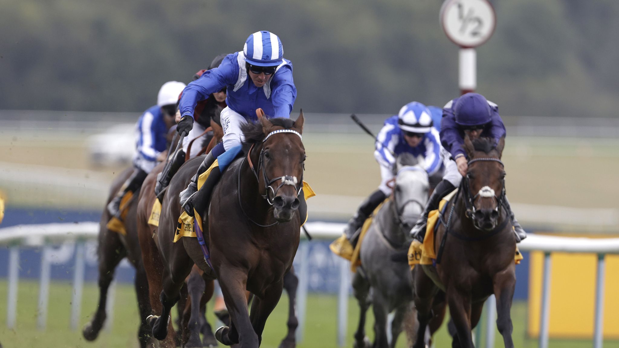 Minzaal retired: Owen Burrows' Sprint Cup hero Minzaal sustained season ...