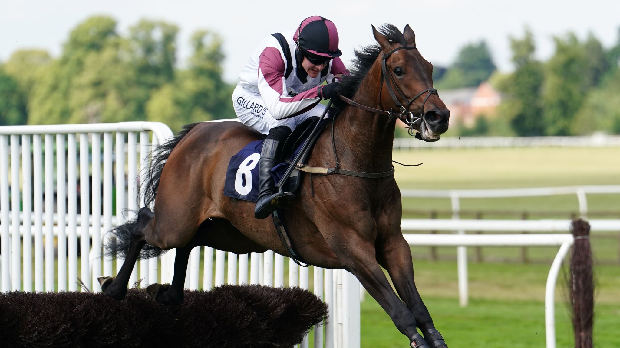 Today on Sky Sports Racing: Son of Golden Horn out to score on handicap ...