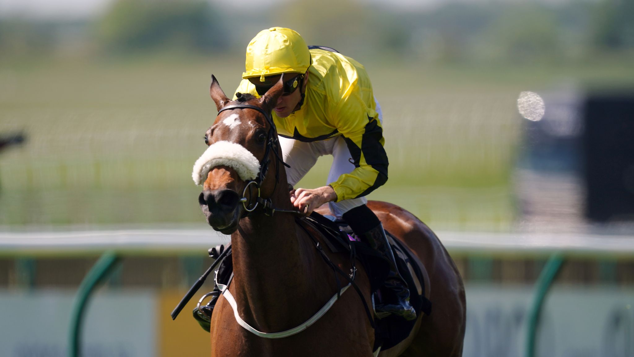 St Leger Festival: Sky Sports Racing's John Hunt selects his horses to ...