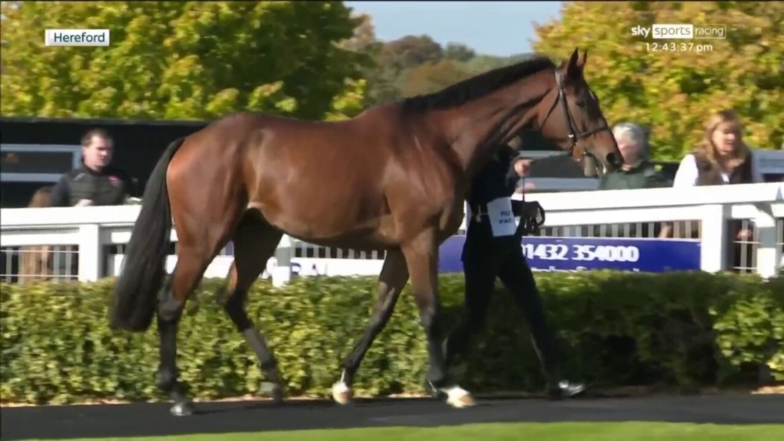 L'Homme Presse among Venetia Williams' jumps stars on show at Hereford ...