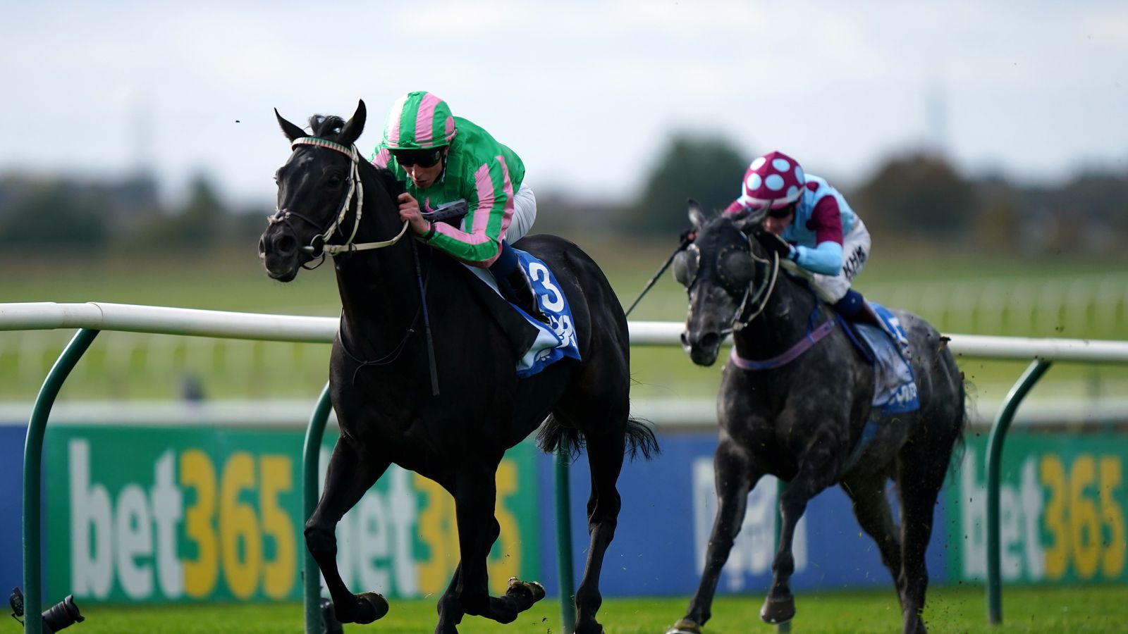 bet365 Fillies' Mile: Commissioning ends Robert Havlin's 30-year wait ...