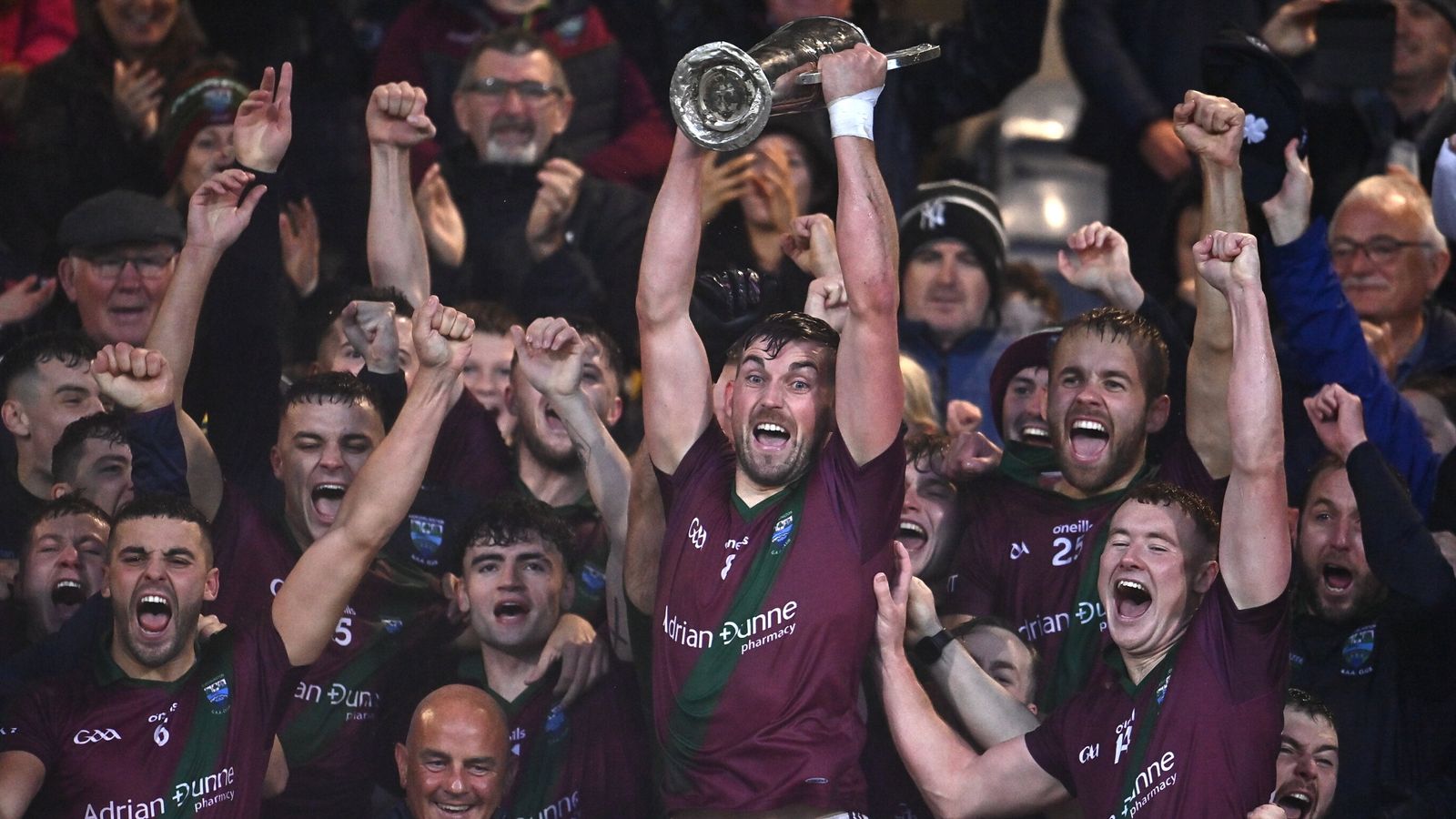 GAA club round-up: Naas and Portarlington defend titles on busy weekend ...