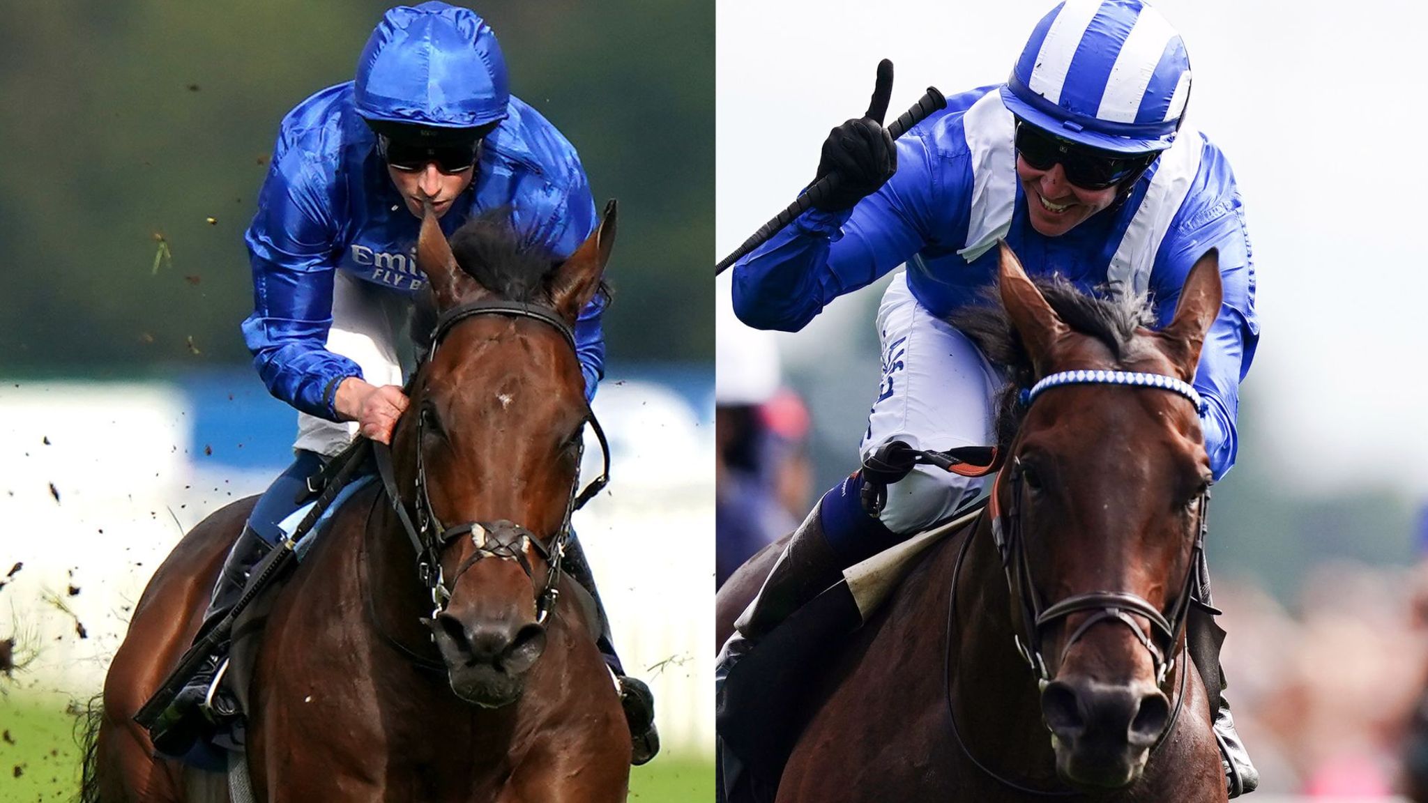 Ascot Champions Day: Adayar 'delights' Charlie Appleby ahead of epic ...