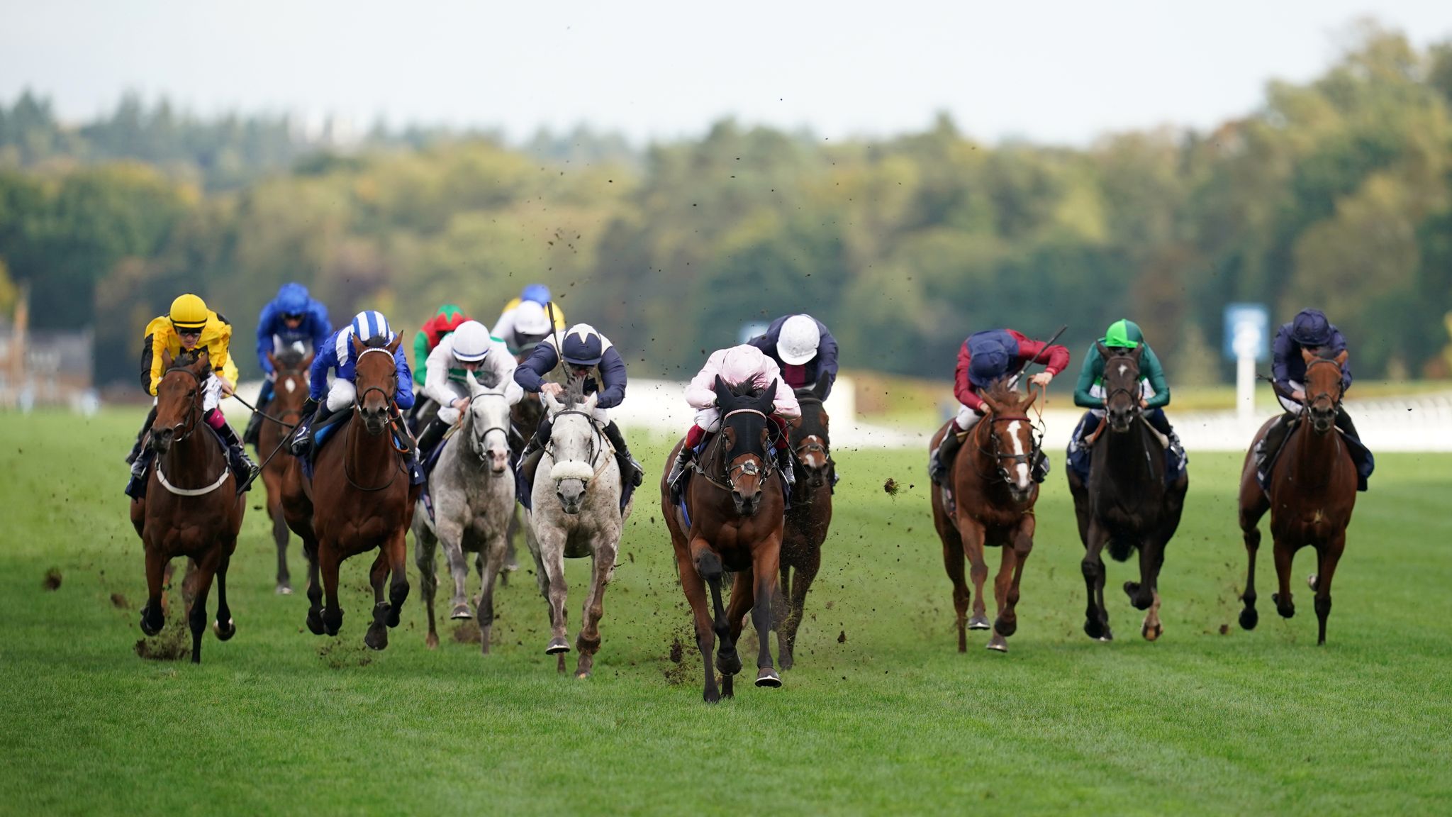 British Champions Sprint: Dettori dominates at Ascot as Kinross takes ...