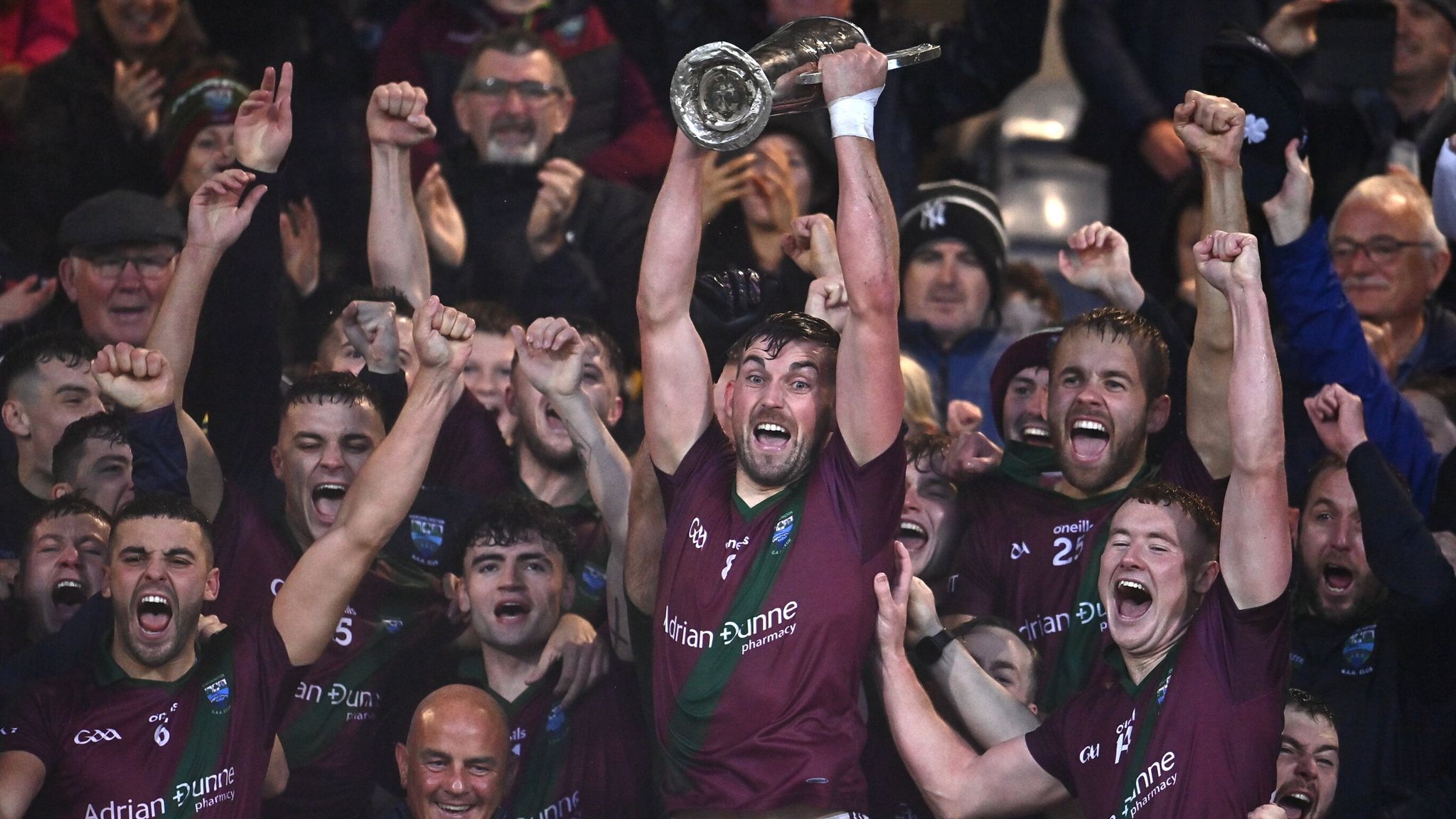 GAA club round-up: Naas and Portarlington defend titles on busy weekend ...