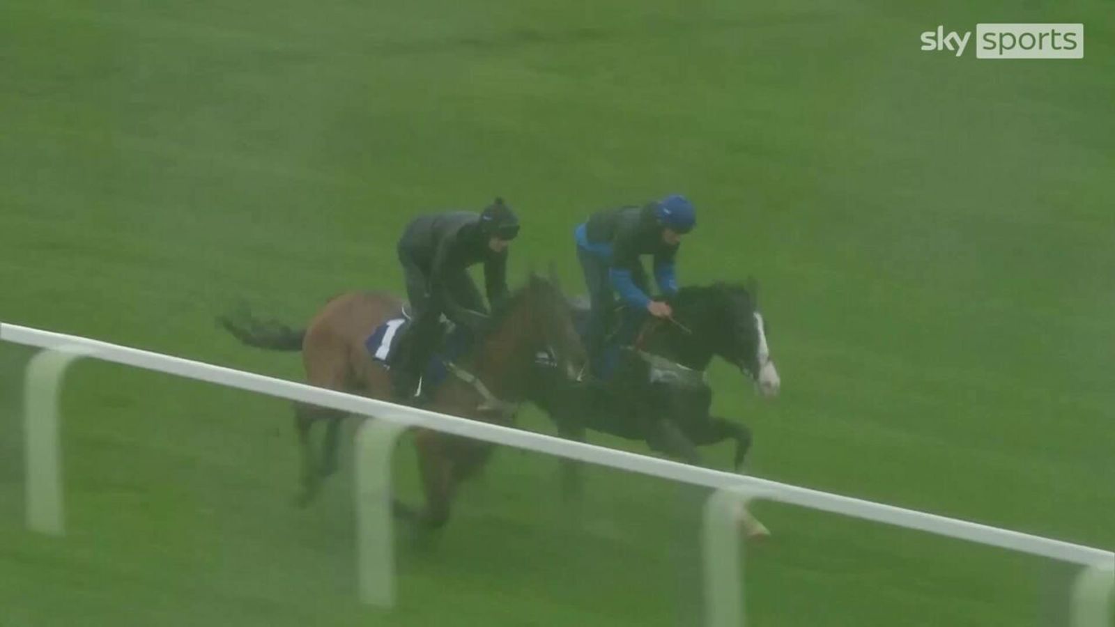 Coral Gold Cup: Joe Tizzard pair Oscar Elite and Fiddlerontheroof warm ...