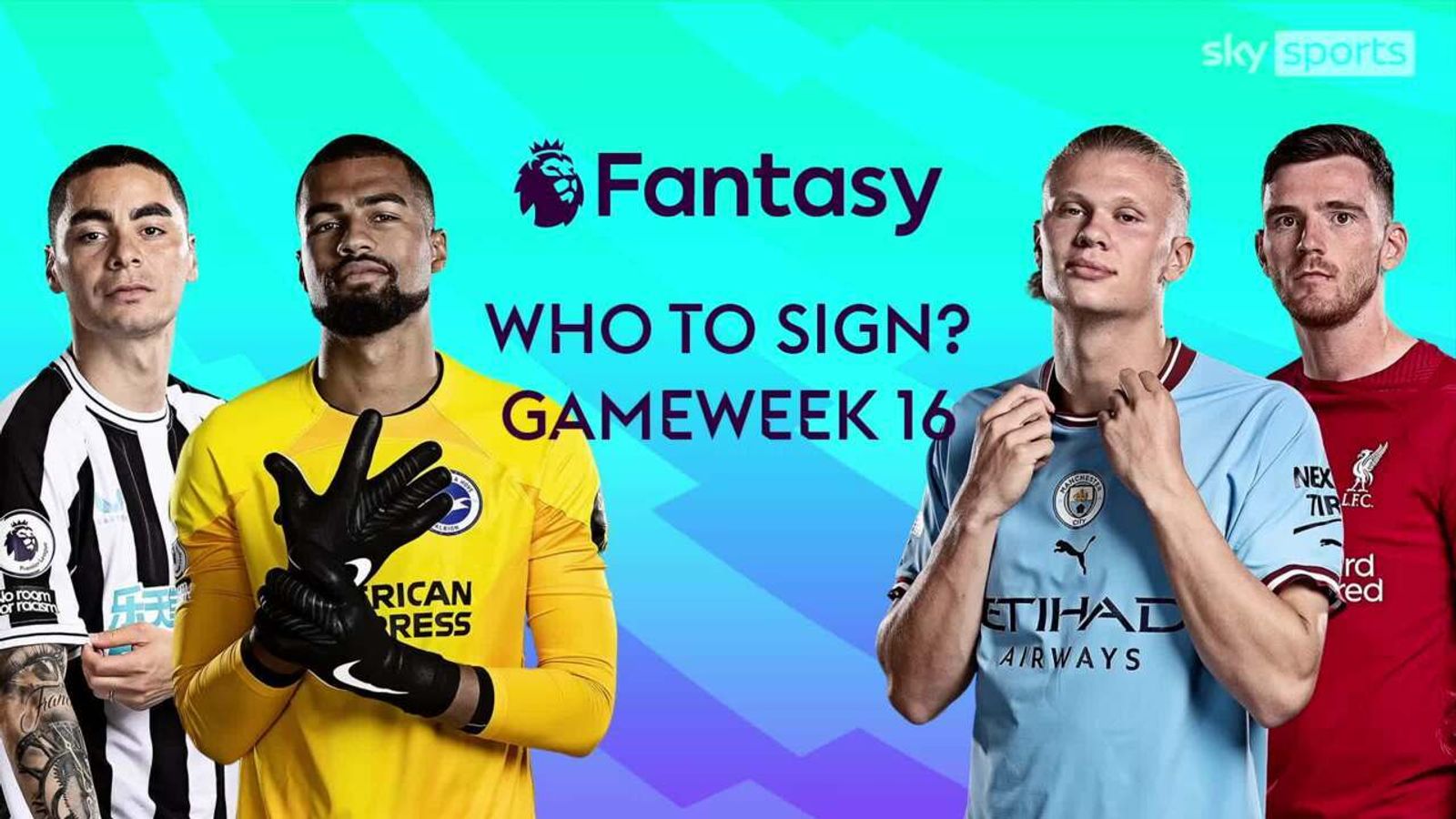 Fantasy Premier League Gameweek 16 | Who To Sign? | Football News | Sky ...