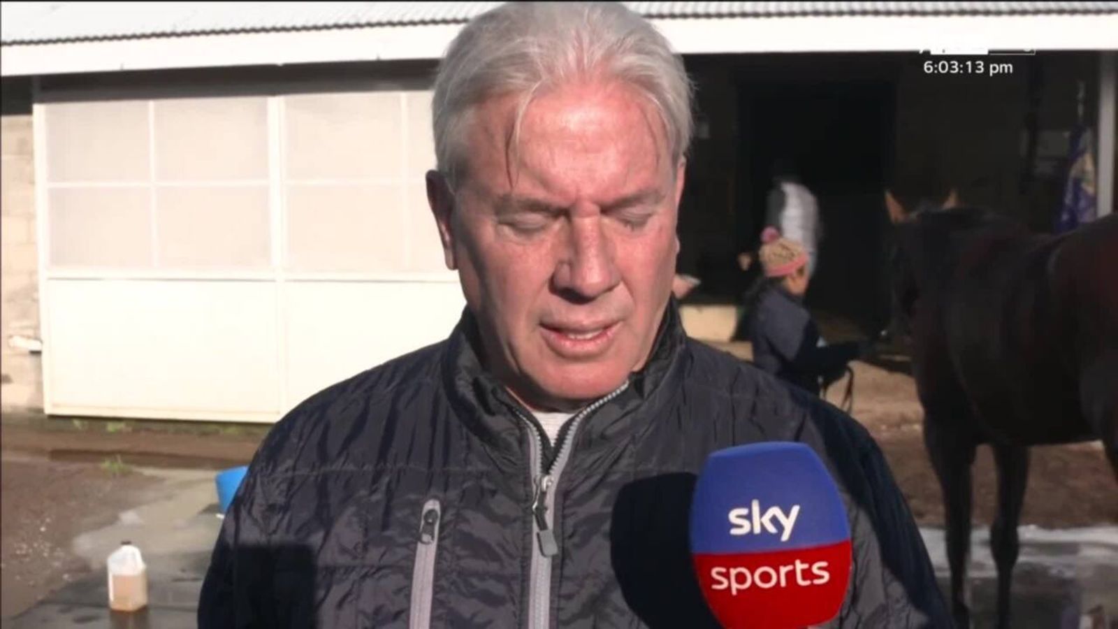 Breeders' Cup: Wesley Ward insists Love Reigns is ready for Juvenile ...