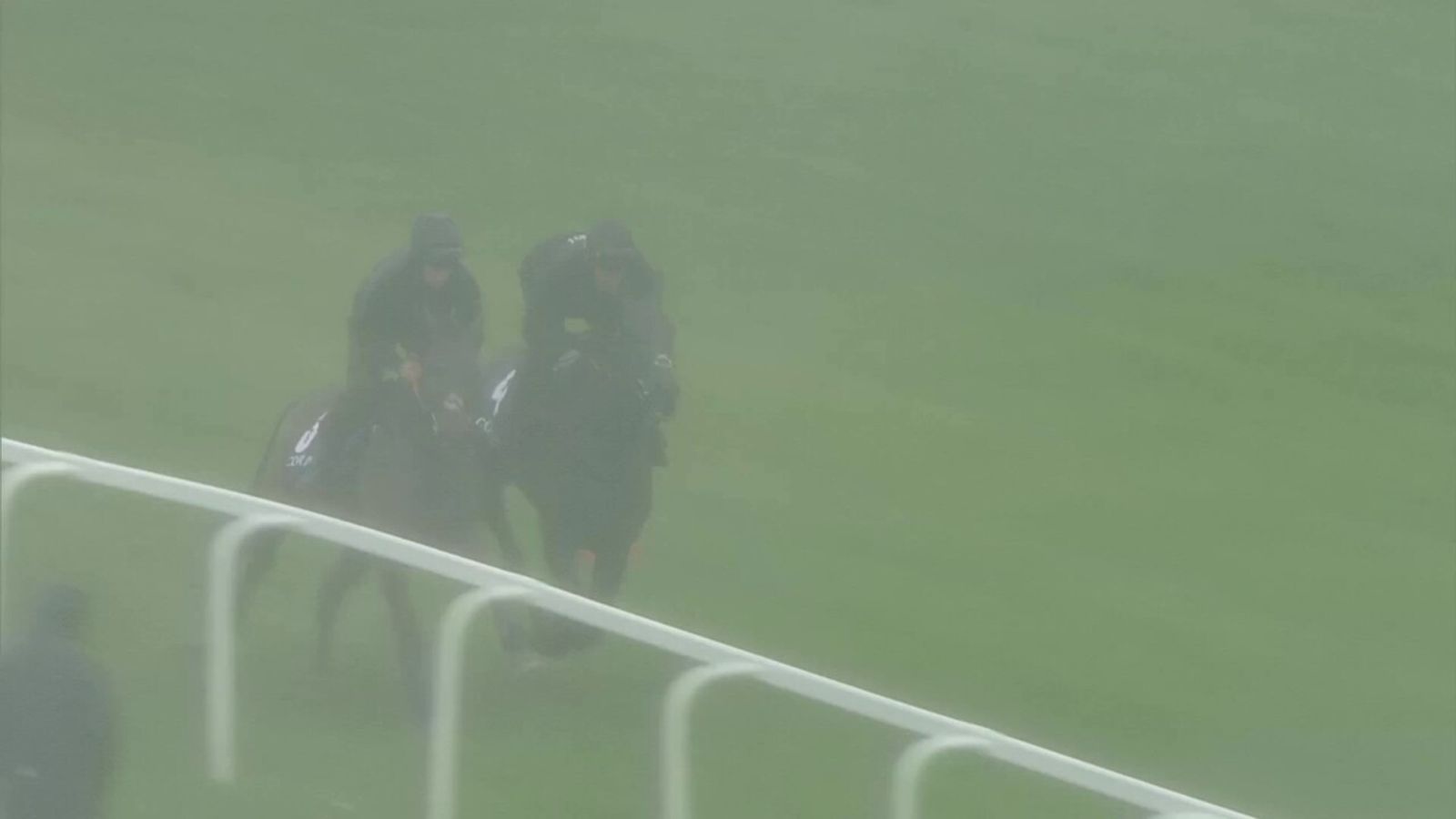 Coral Gold Cup: Joe Tizzard hoping Fiddlerontheroof has his day in ...