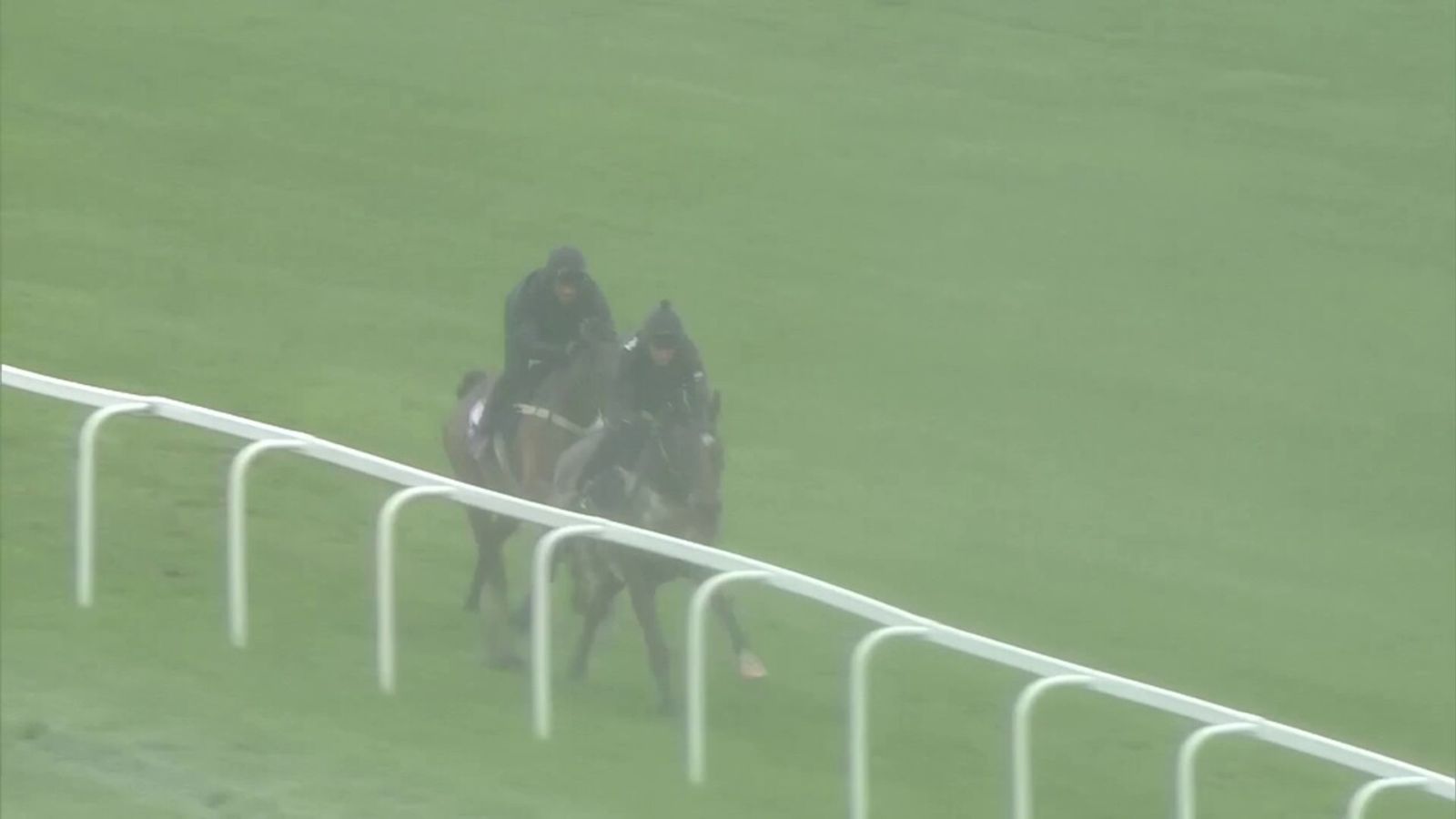 Coral Gold Cup: Joe Tizzard hoping Fiddlerontheroof has his day in ...