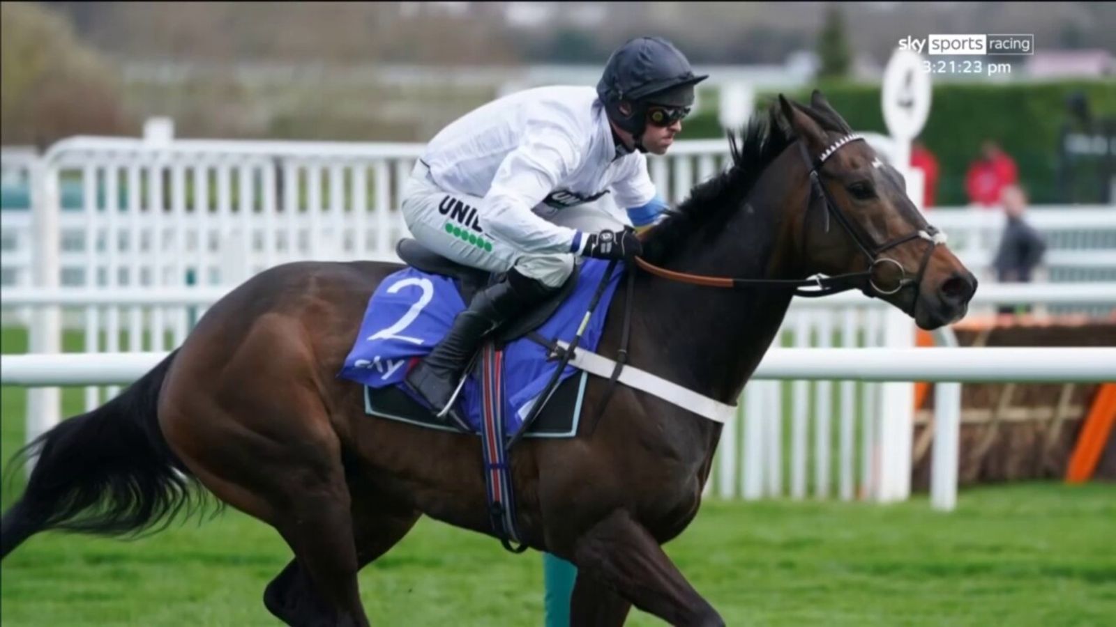 Fighting Fifth Hurdle: Constitution Hill can make us dream with ...
