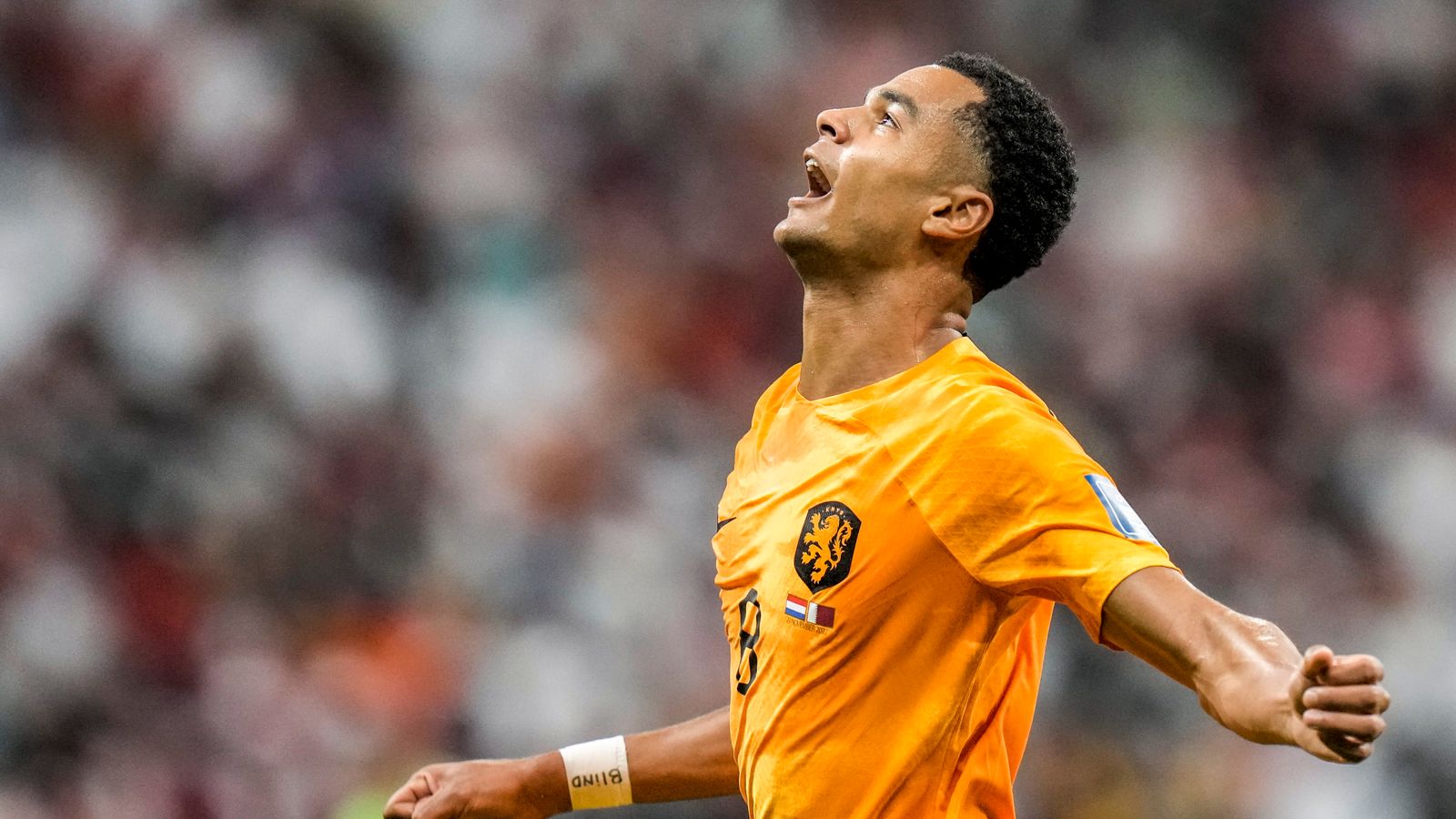 Clinton Morrison: They need to sign Cody Gakpo in January | Paul Merson ...