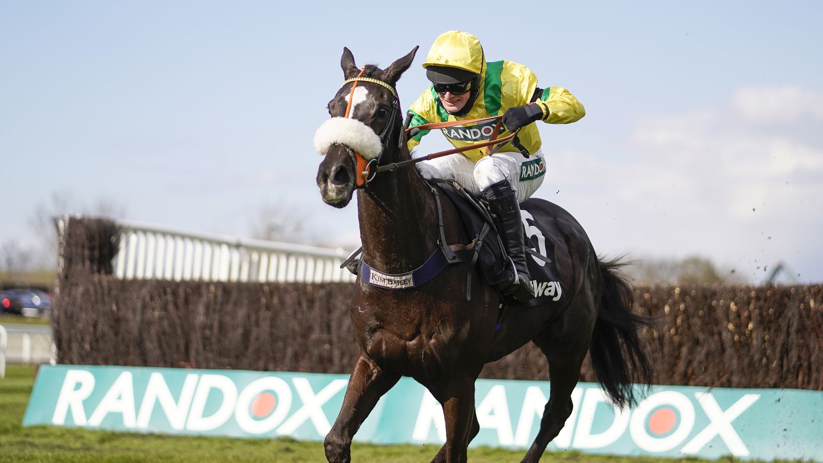 Rehearsal Chase: Kim Bailey confirms Happygolucky is all set for ...