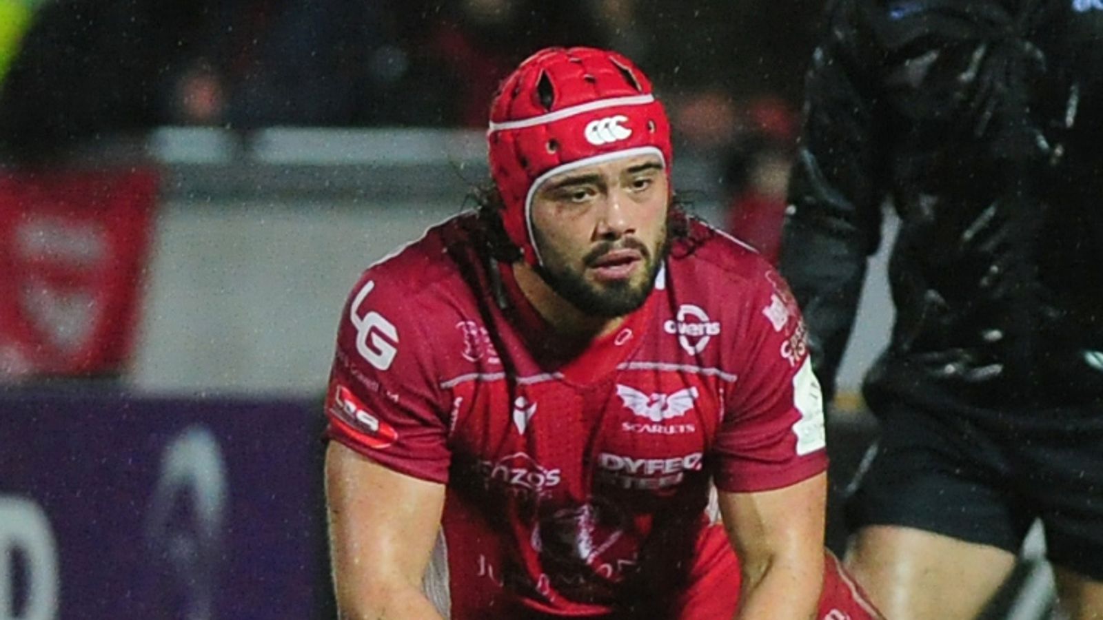 Wales vs Georgia: Josh Macleod in for debut; Josh Adams, Owen Watkin ...