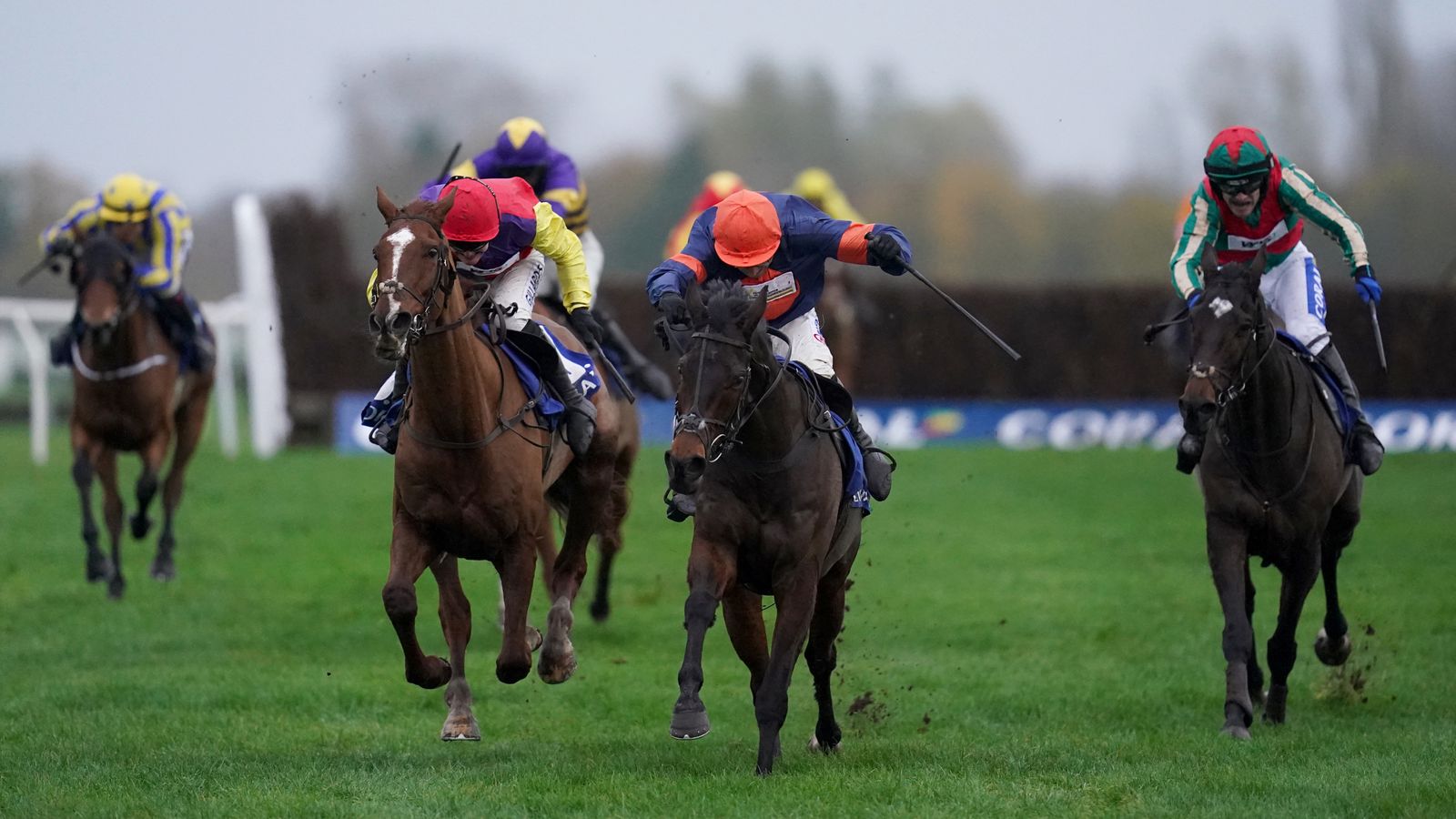 Coral Gold Cup: Le Milos digs deep to beat David Pipe pair in Newbury ...