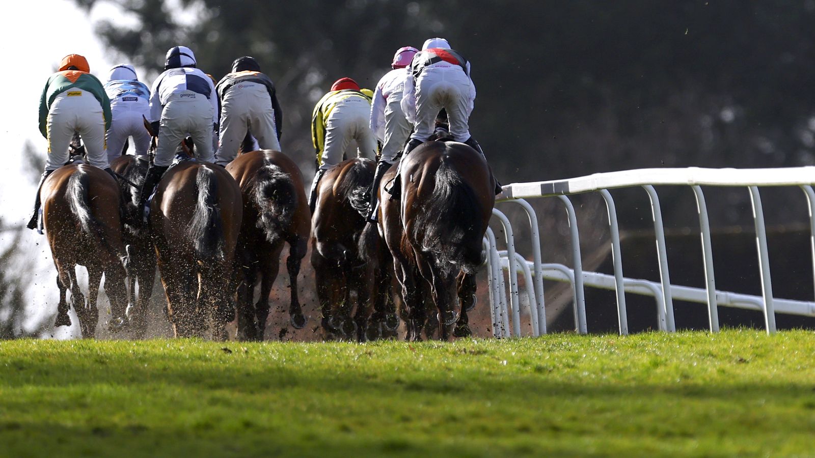 BHA's new governance stucture for racing launched with aim of improving ...