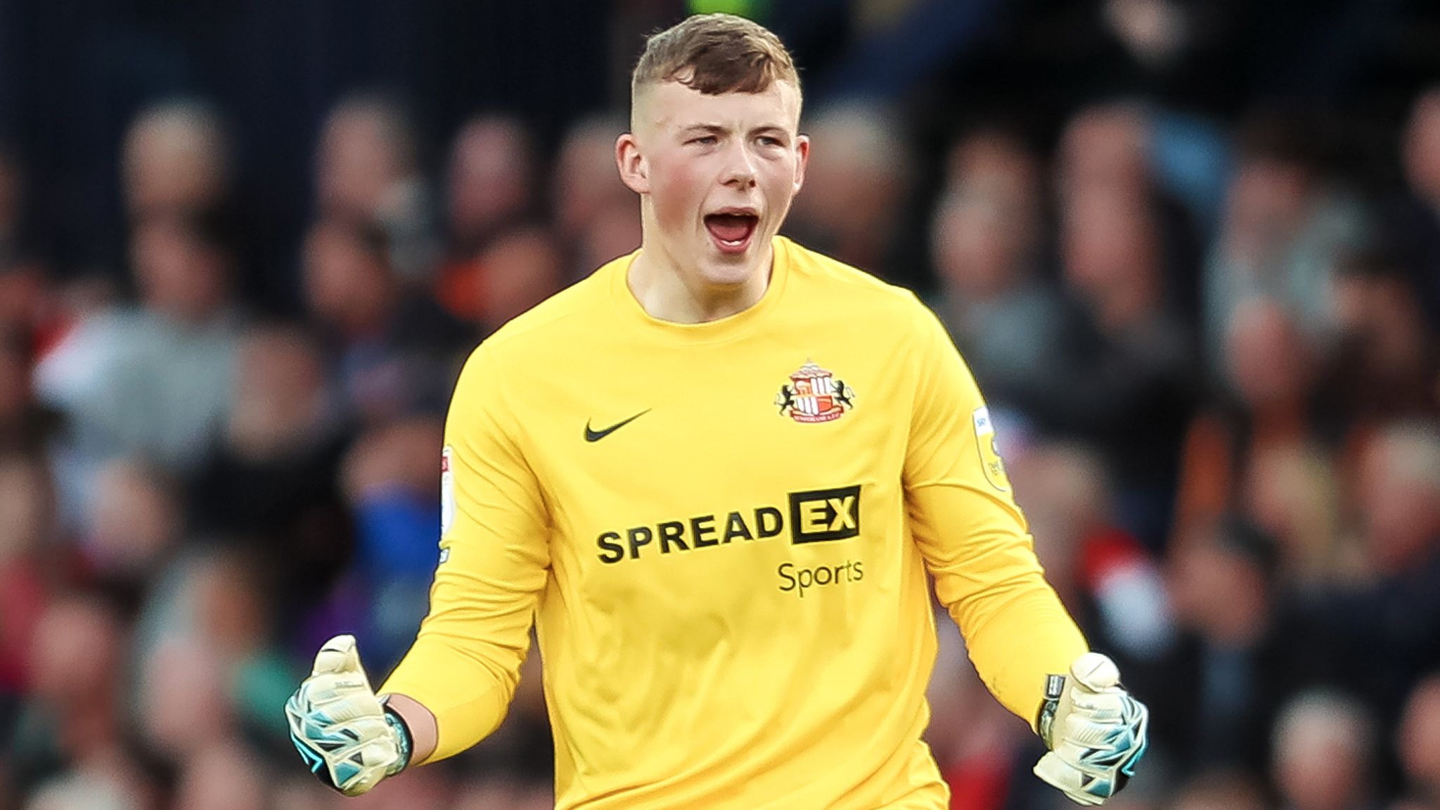 Championship Team of the Month for October: Zian Flemming, Oli McBurnie, Ched Evans all included ...