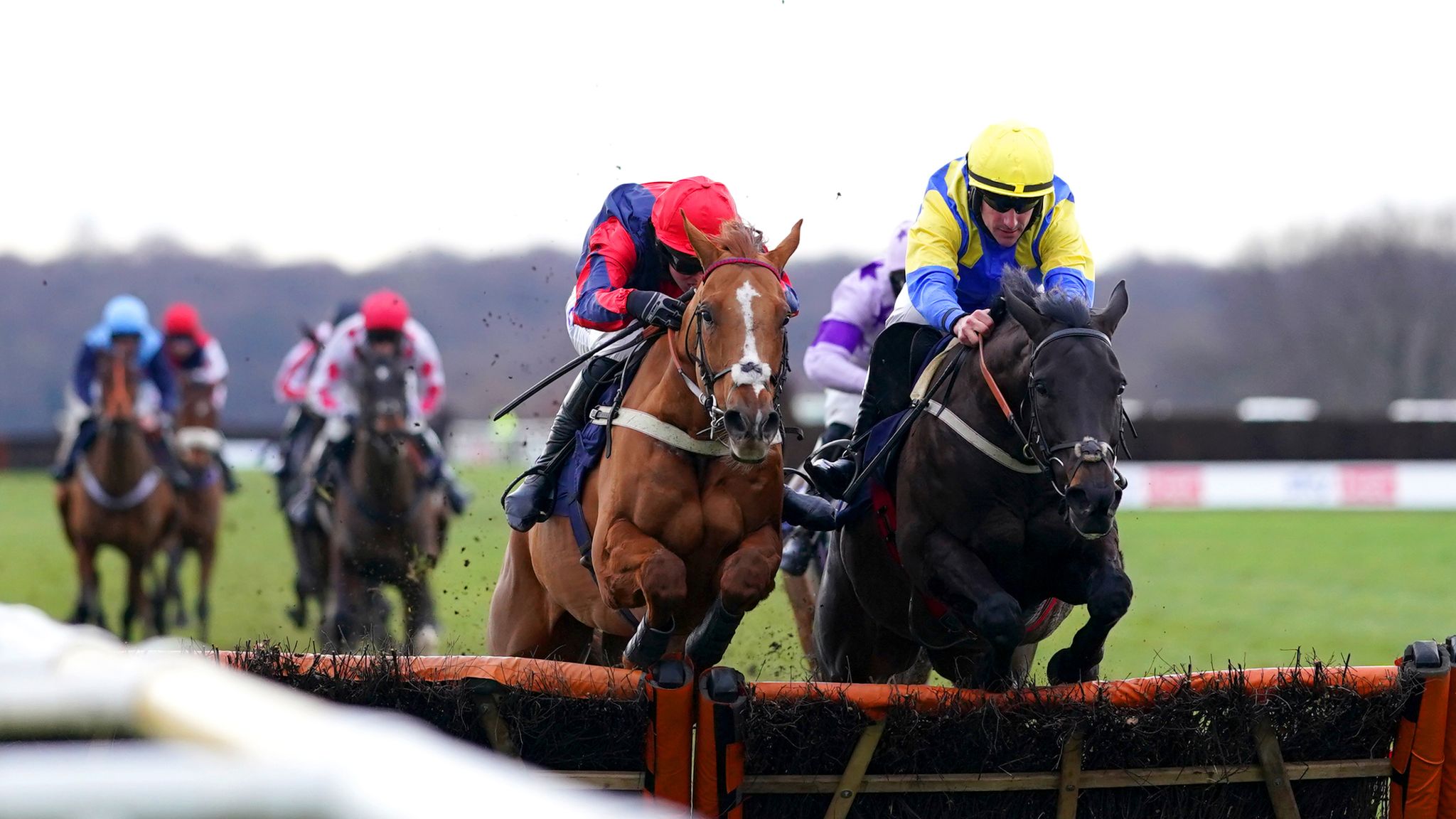 Race of the Day on Sky Sports Racing: Okavango Delta can get off the ...