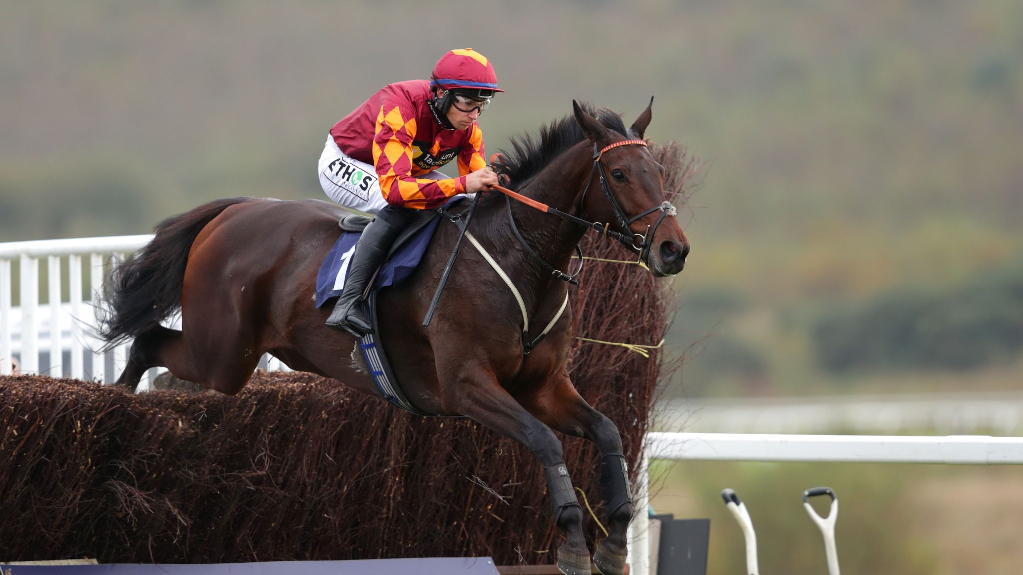 Race of the Day on Sky Sports Racing: Emitom gets the nod as an each ...