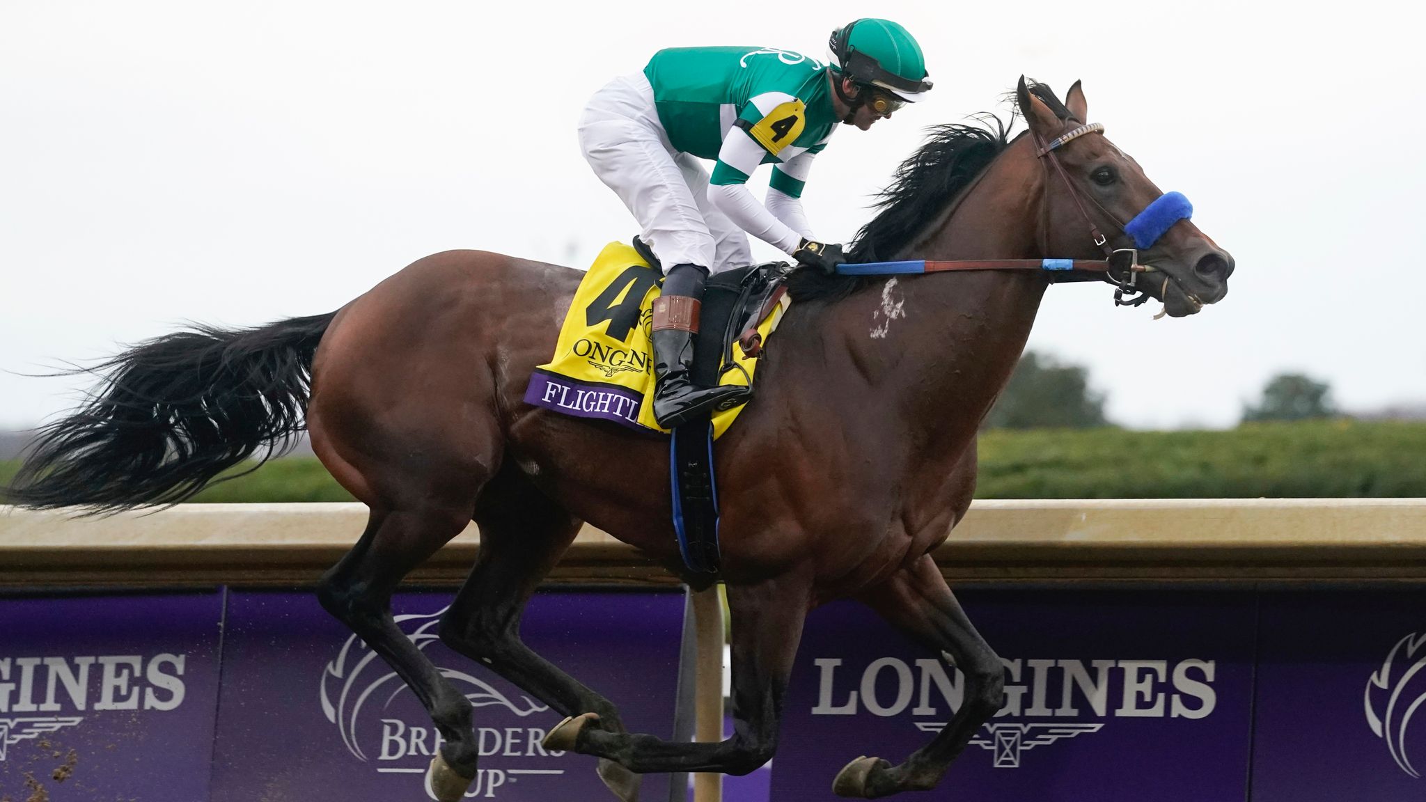Flightline share sells for $4.6m at Keeneland after Breeders' Cup romp ...