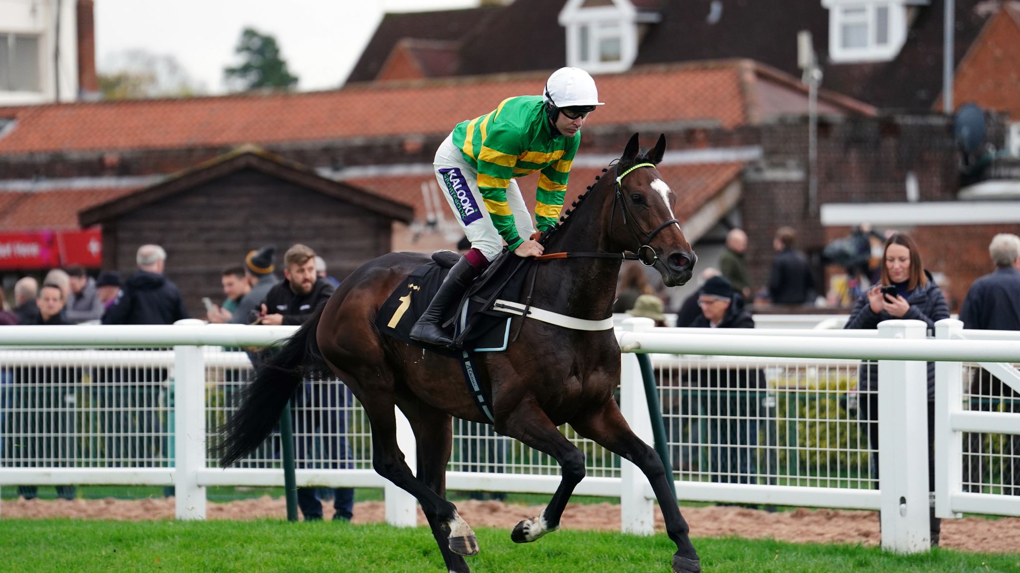 Weekend Winners Cheltenham Preview: Jonbon can get better of El Fabiolo ...