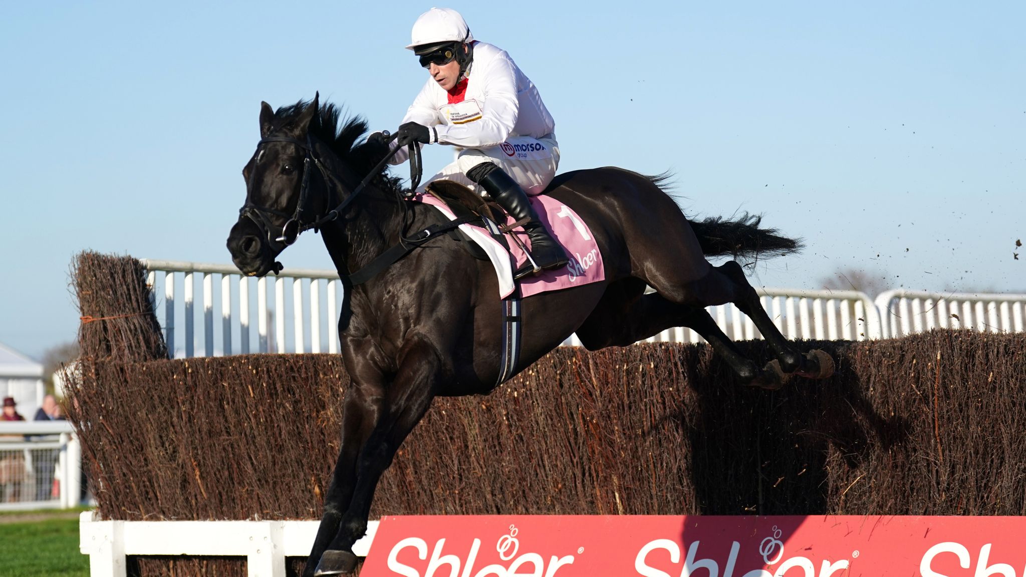 Shloer Chase: Nube Negra saunters to Cheltenham victory for Dan and ...