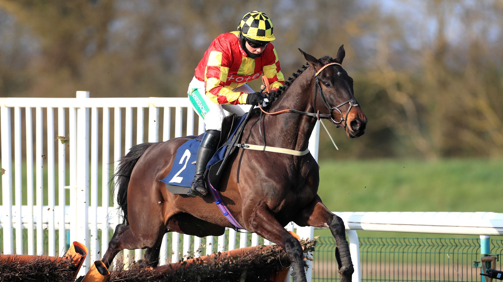 Race of the Day: Neil King and Jack Quinlan to strike with ...