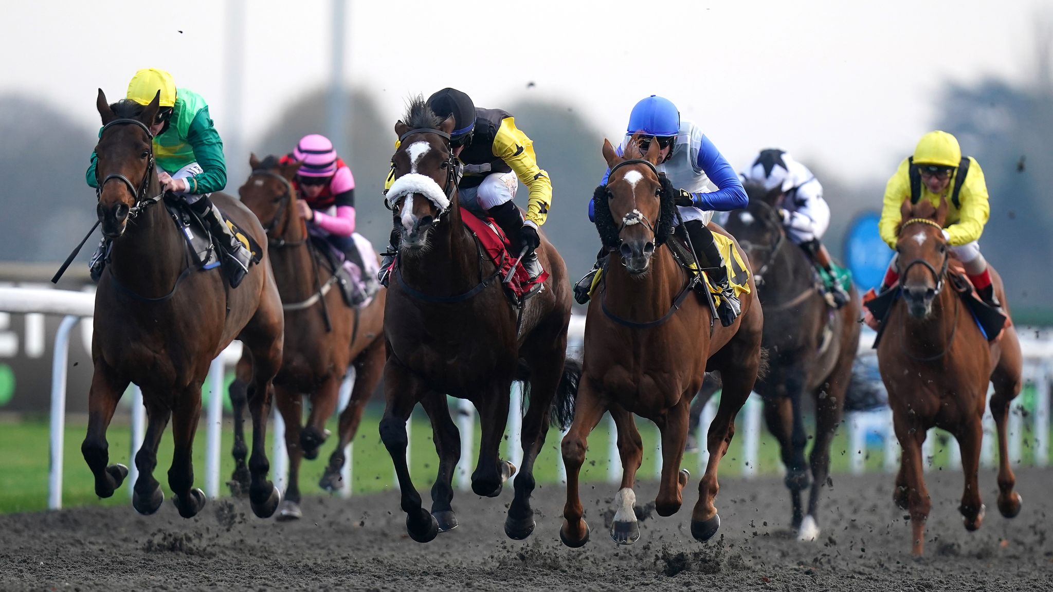 Race of the Day on Sky Sports Racing: Greatgadian backed to extend ...
