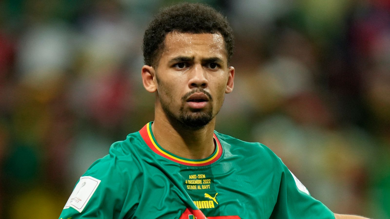 Sky Bet EFL players at the World Cup: How did players from the ...