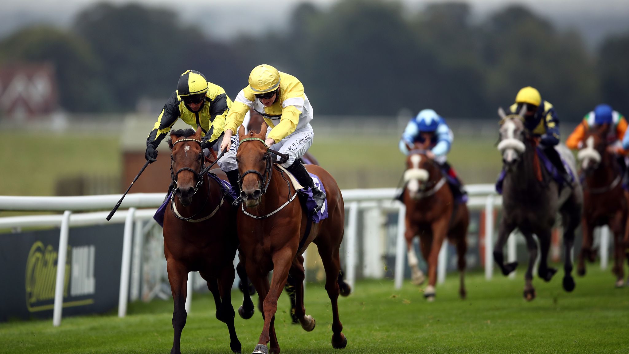 Race of the Day on Sky Sports Racing: Gary Nutting seeks value in ...