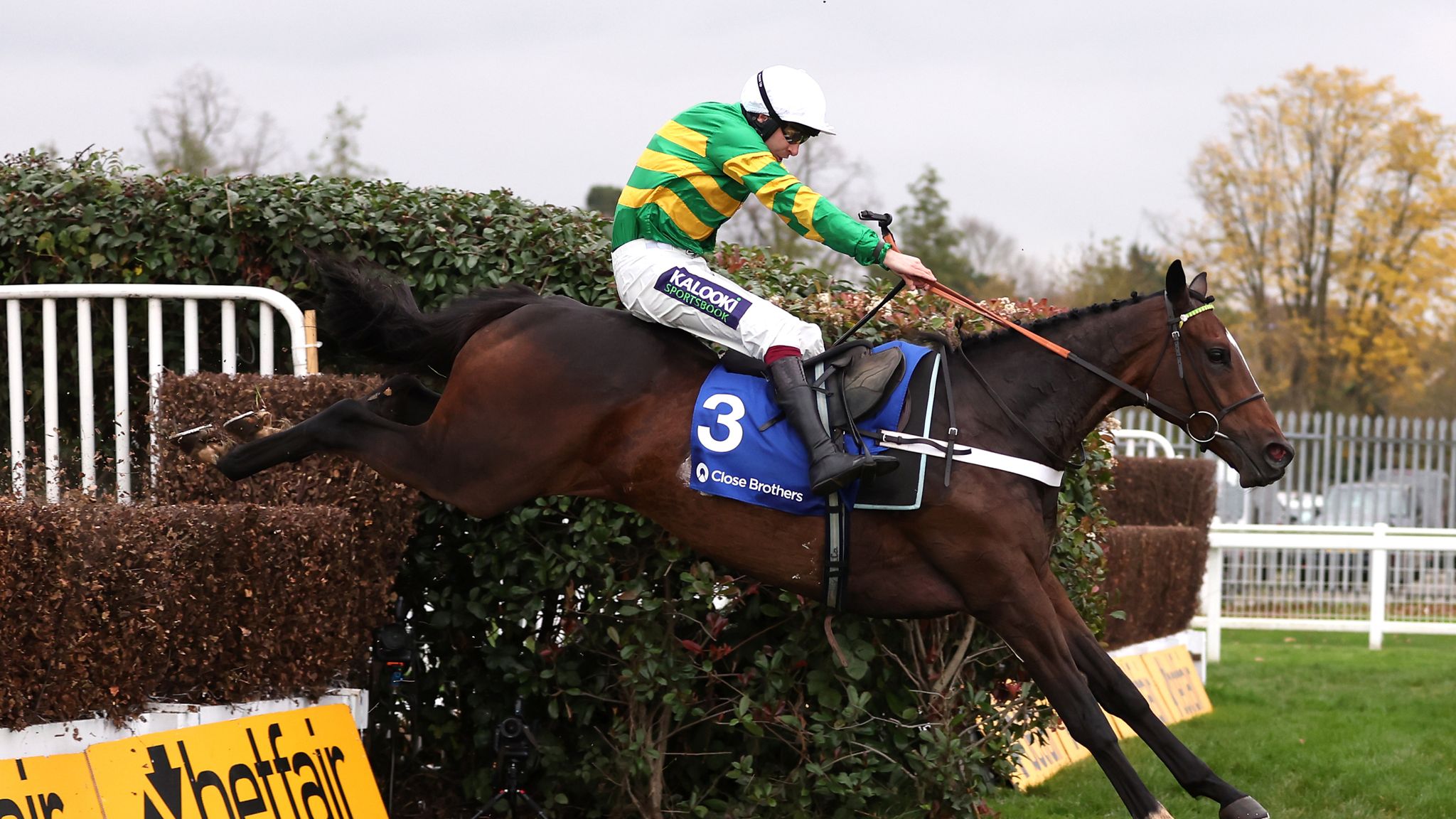 Constitution Hill: Champion Hurdle favourite set to run next in ...