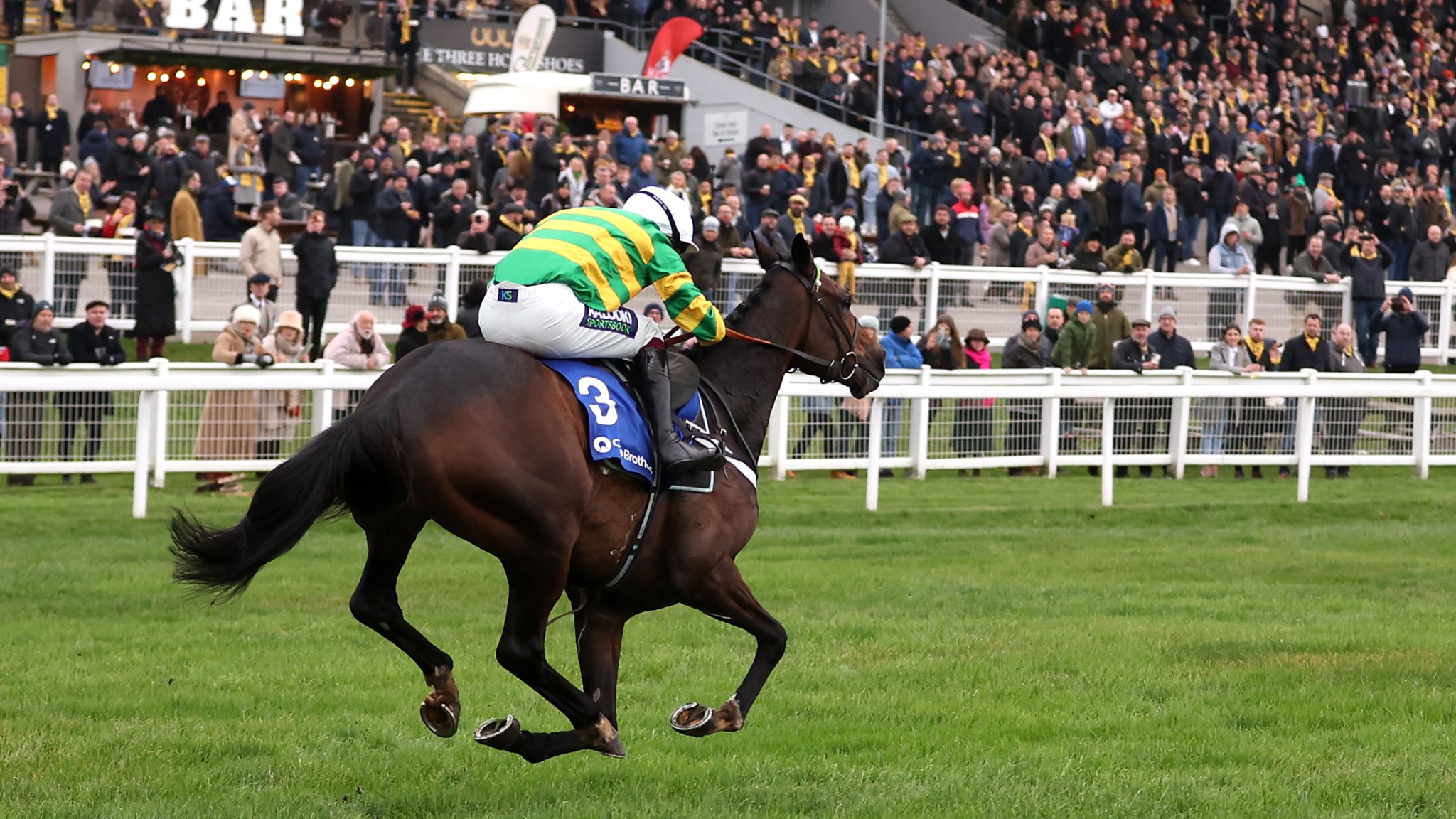 Henry VIII Novices Chase: Jonbon dazzles Sandown spectators with ...