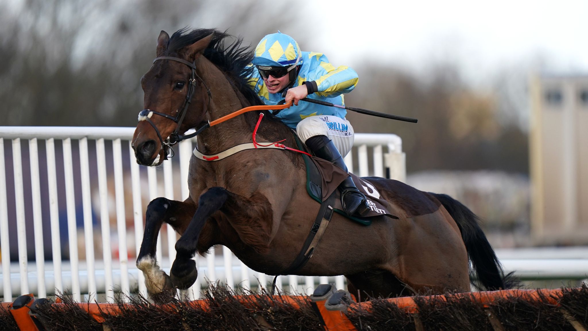 Cheltenham Festival tips: Simon Rowlands picks out two each-way fancies ...