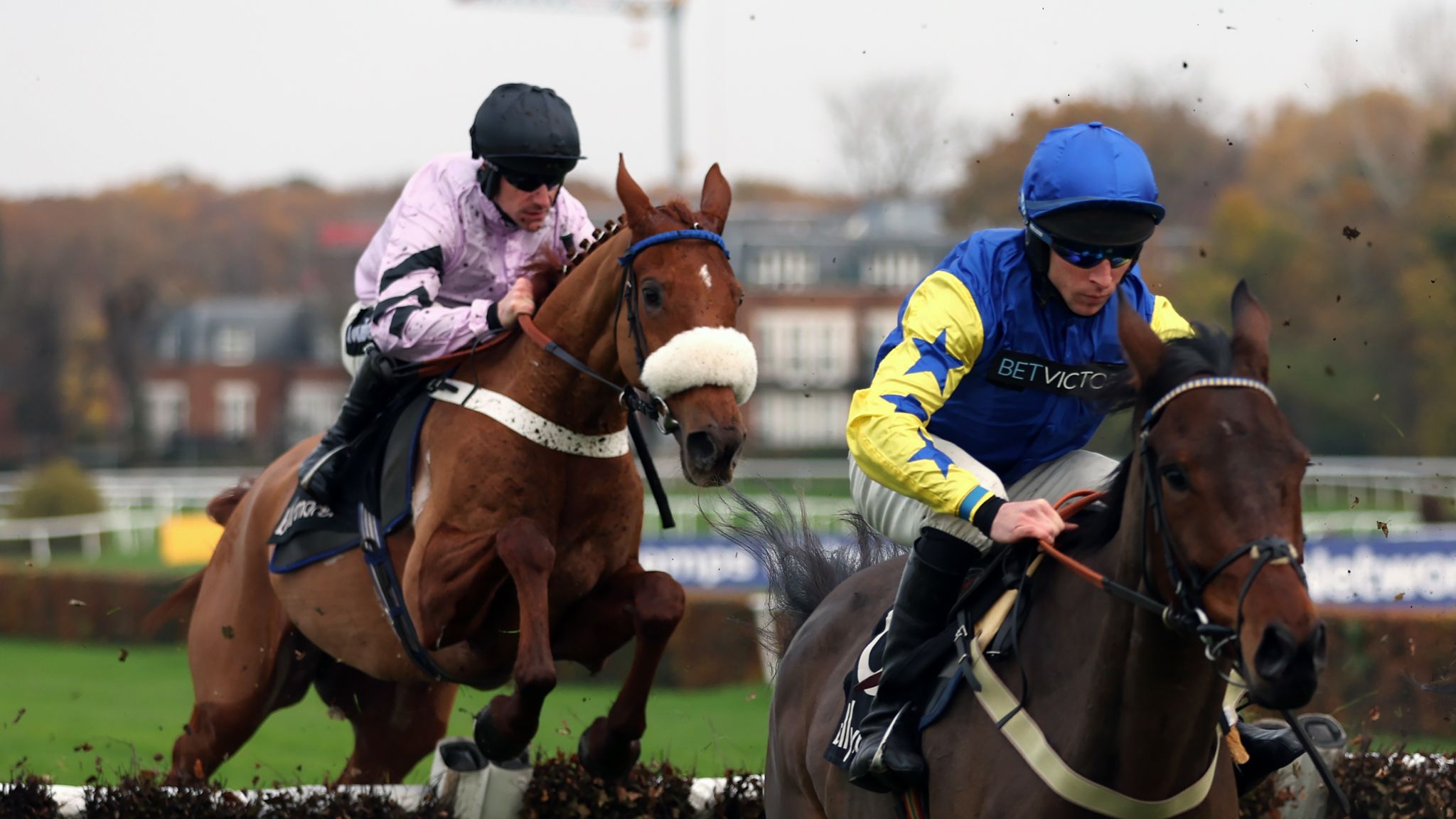 Long Walk Hurdle: Miranda set to step up in class at Ascot for Paul ...