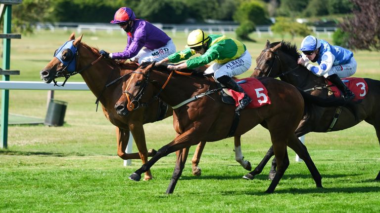 Today on Sky Sports Racing: Pop Dancer seeks four-timer at Lingfield ...