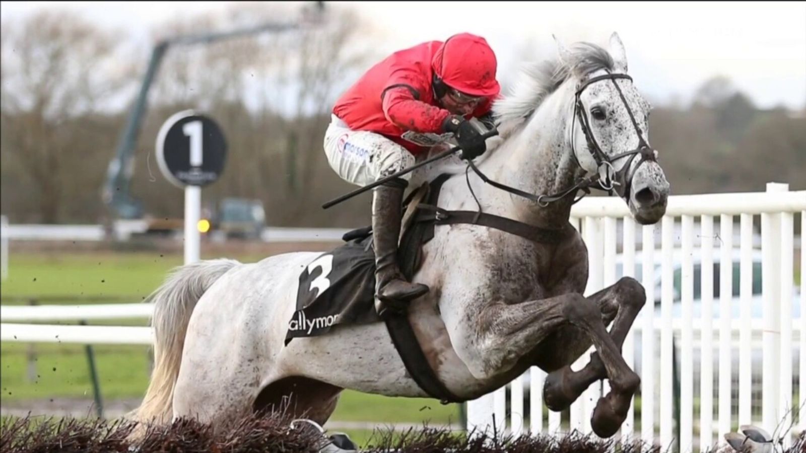 Leamington Novices' Hurdle: Grey Dawning on track to be a Grade One ...