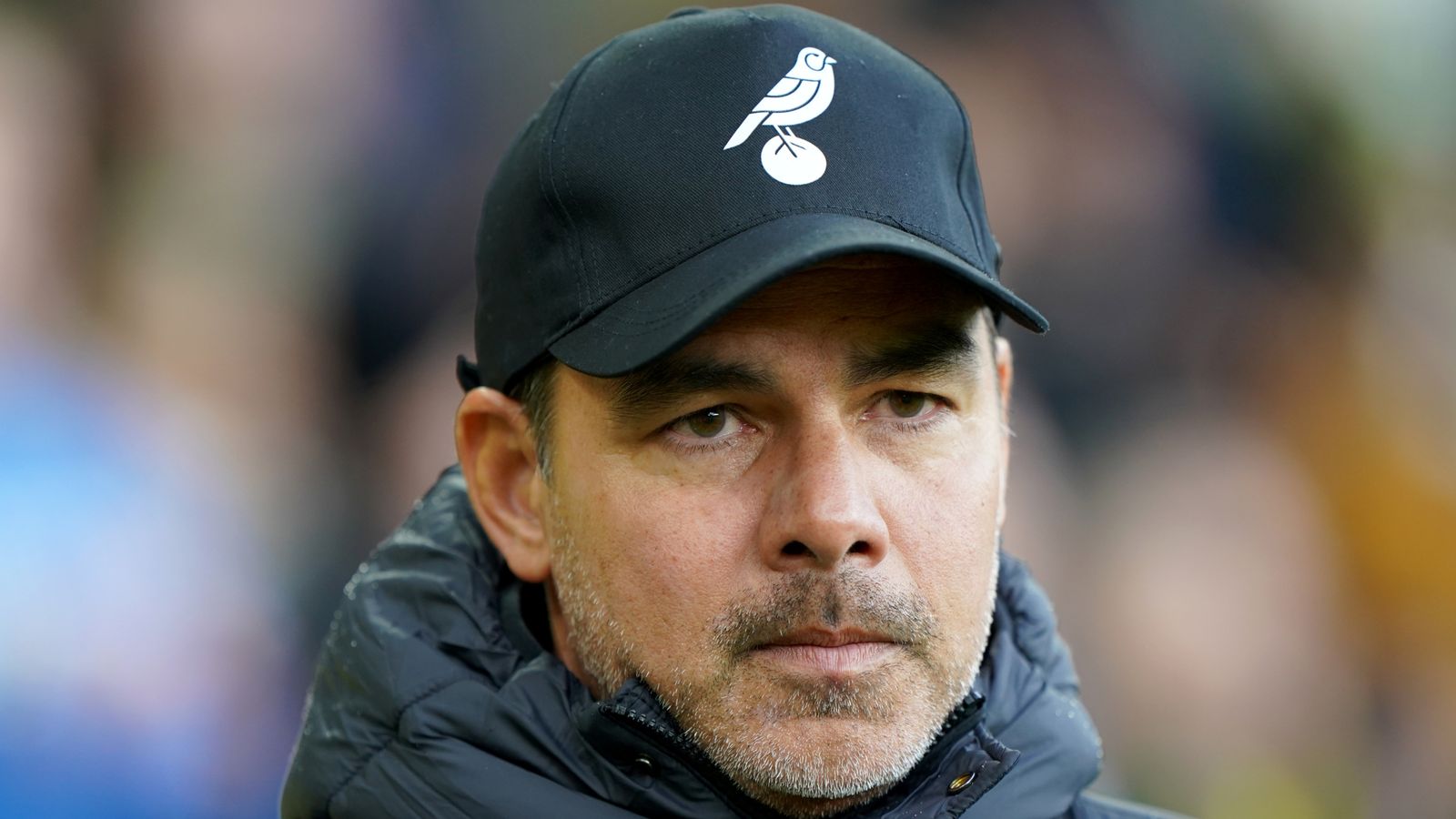 FA Cup round-up: David Wagner's Norwich managerial debut ends in poor ...