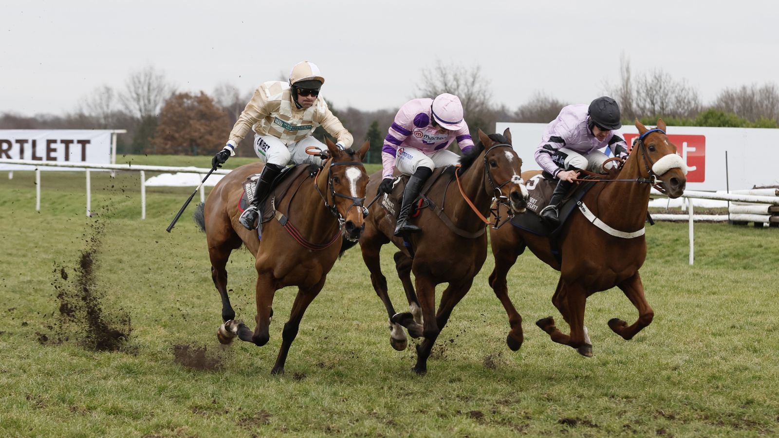 Donald McCain: Maximilian to miss Cheltenham Festival | Racing News ...