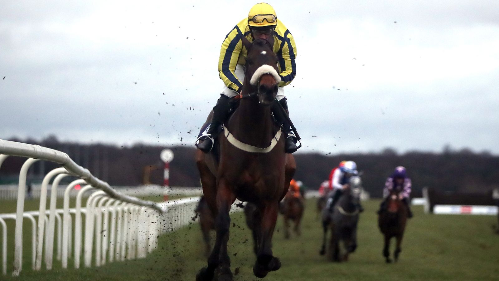 Racing round-up: Neil Mulholland's Willmount set for spring festival ...