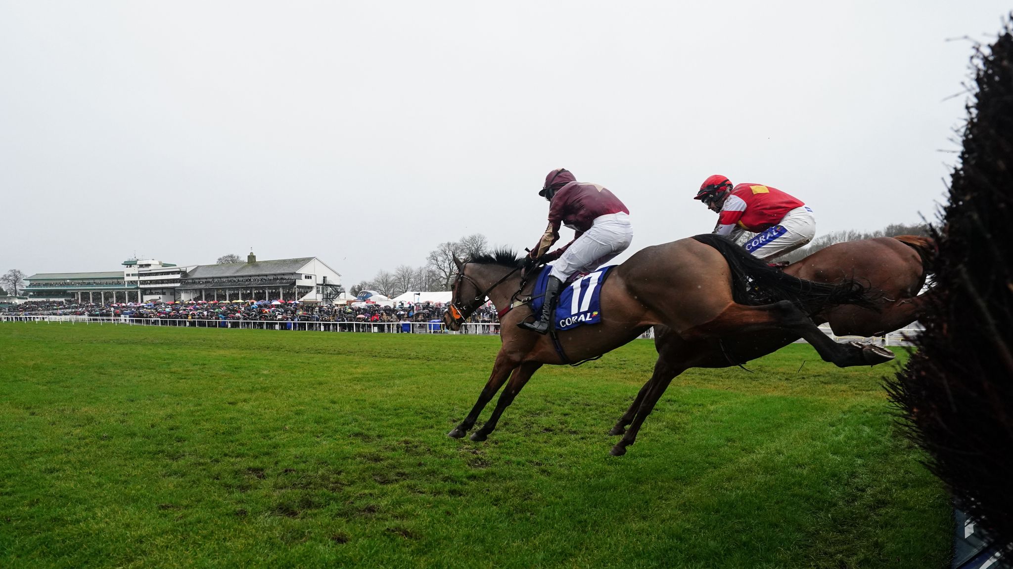 Friday racing tips: At The Races expert Tom Chilman picks out five ...