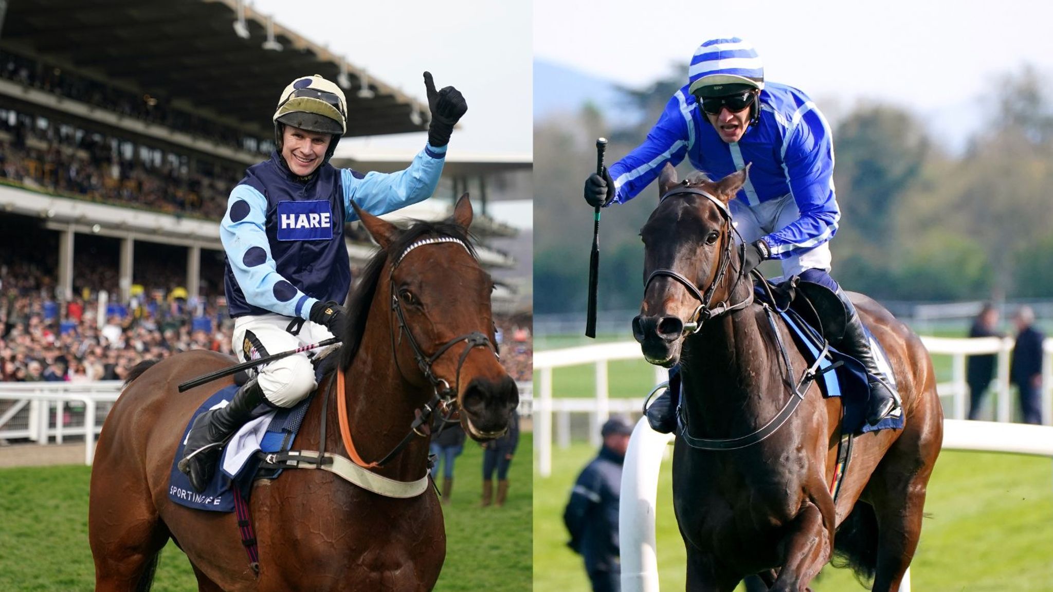 Clarence House Chase: Energumene and Edwardstone set to reroute to ...