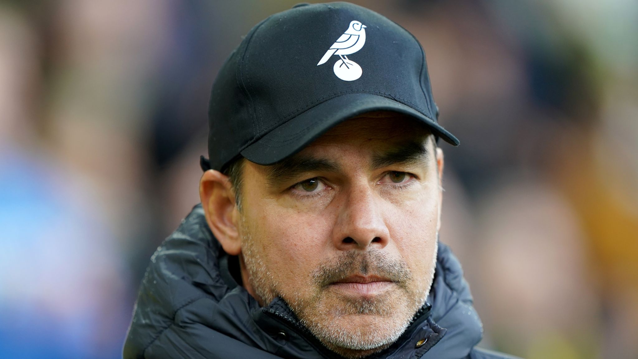 FA Cup round-up: David Wagner's Norwich managerial debut ends in poor ...