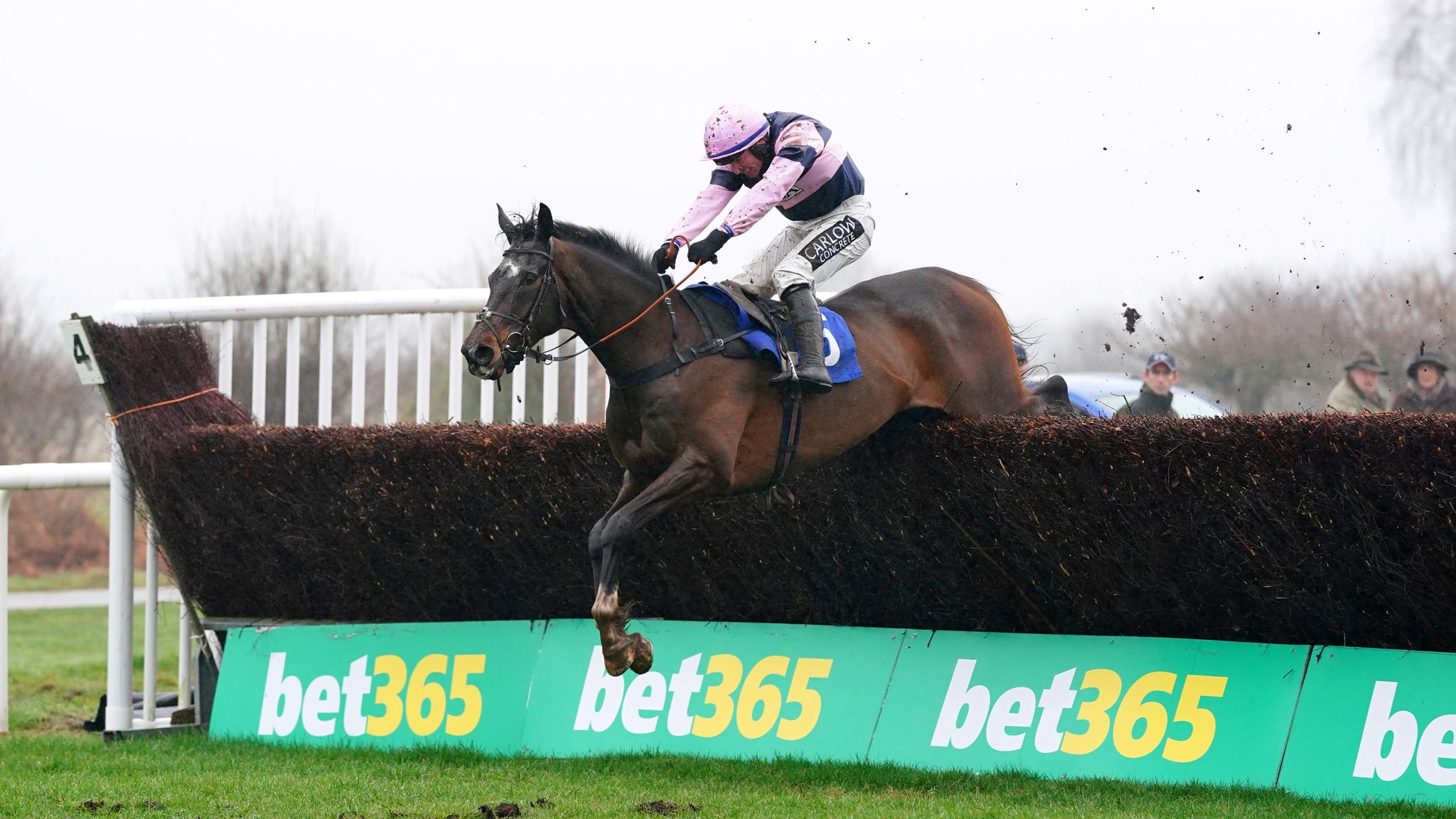 Sky Bet Chase: Full runner guide and expert verdict from Sky Sports ...