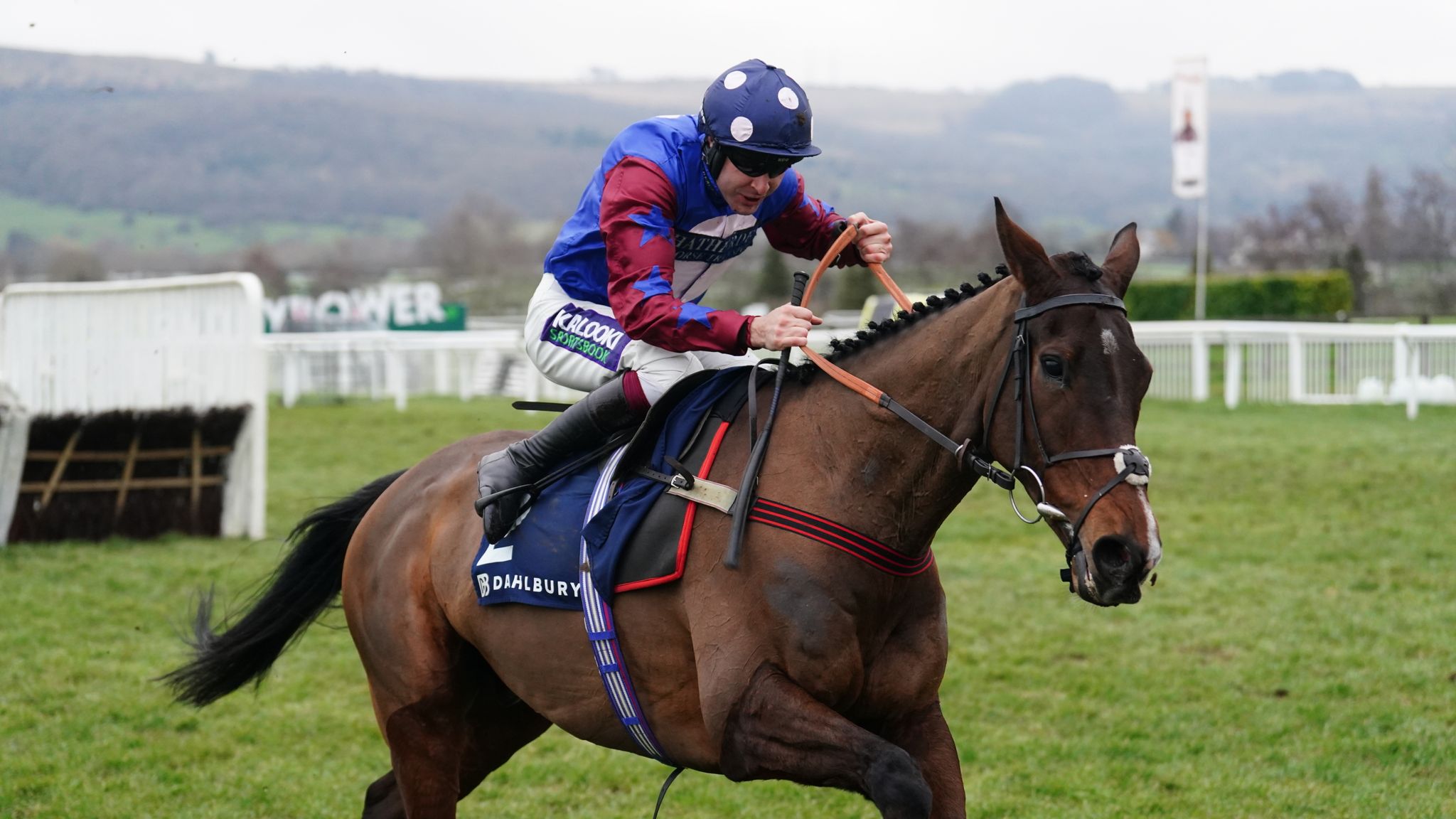Cleeve Hurdle: Gold Tweet causes Cheltenham shock with successful ...