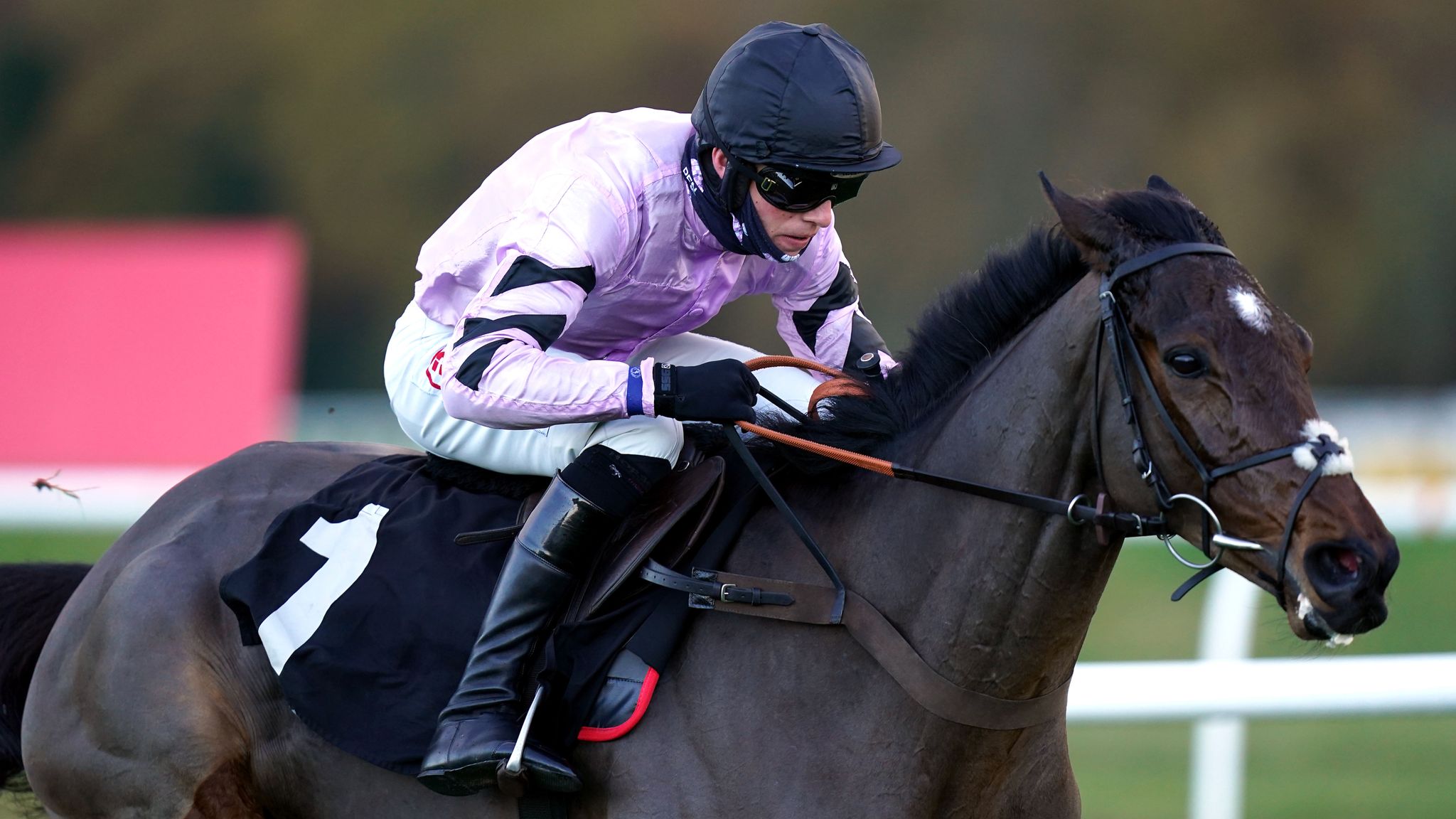 Sussex National day: Stage Star impresses as Harry Cobden rides ...