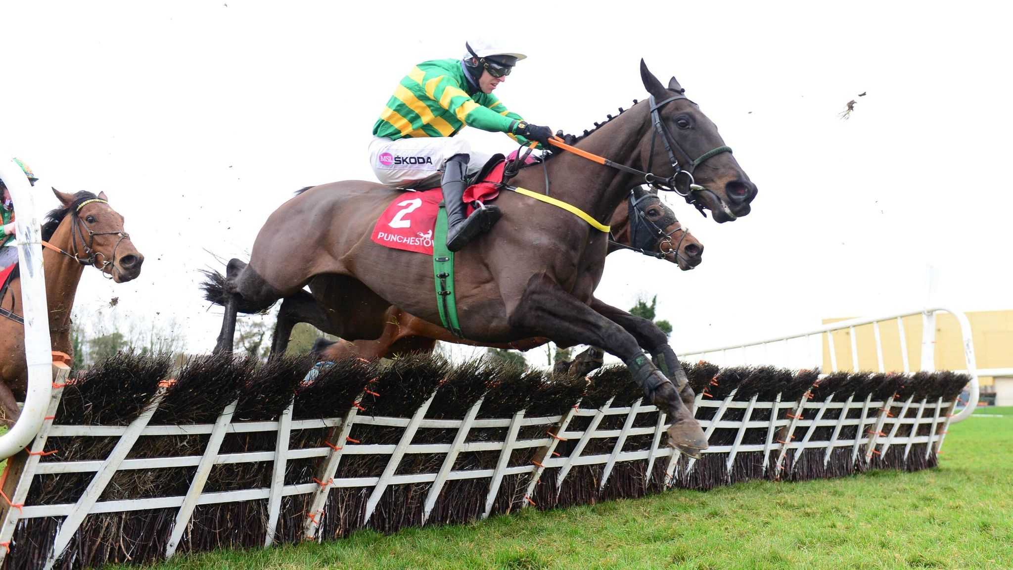 Finlay Ford At Naas Novice Chase: Thedevilscoachman awarded Grade Three ...