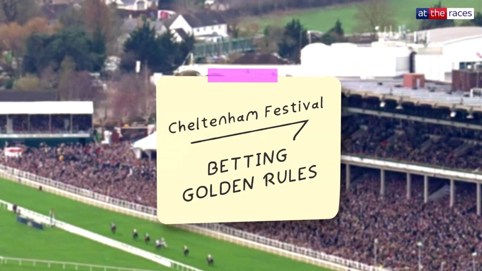 Cheltenham Festival: Sky Sports Racing share their tips for finding ...