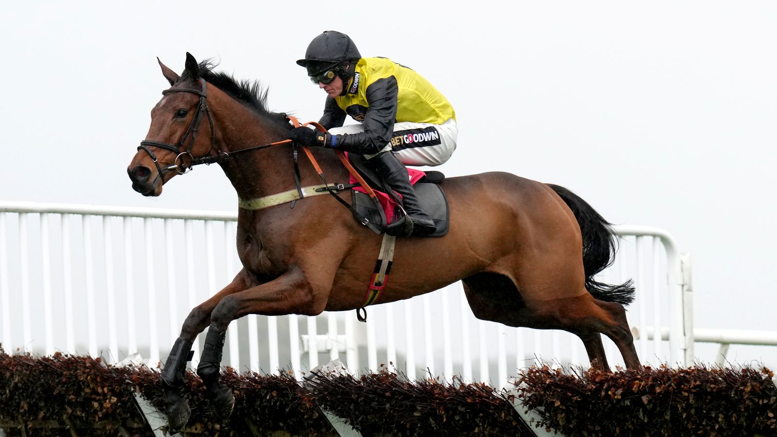 Today on Sky Sports Racing: Gloire D'athon seeks four-timer at Plumpton ...