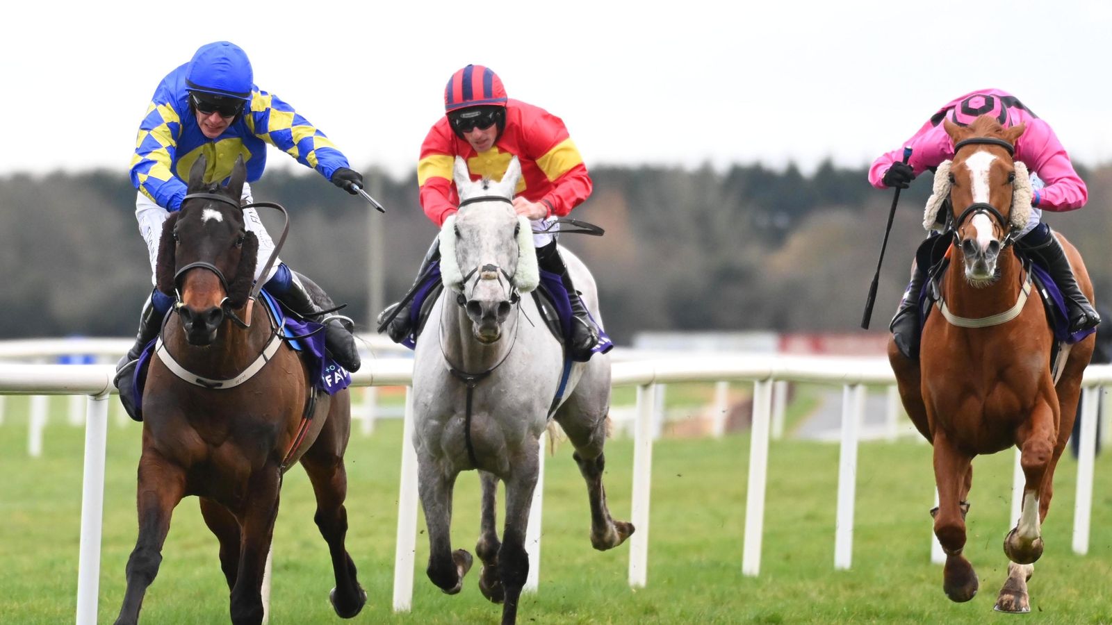 Racing round-up: Lord North takes on classy seven rivals in Winter ...